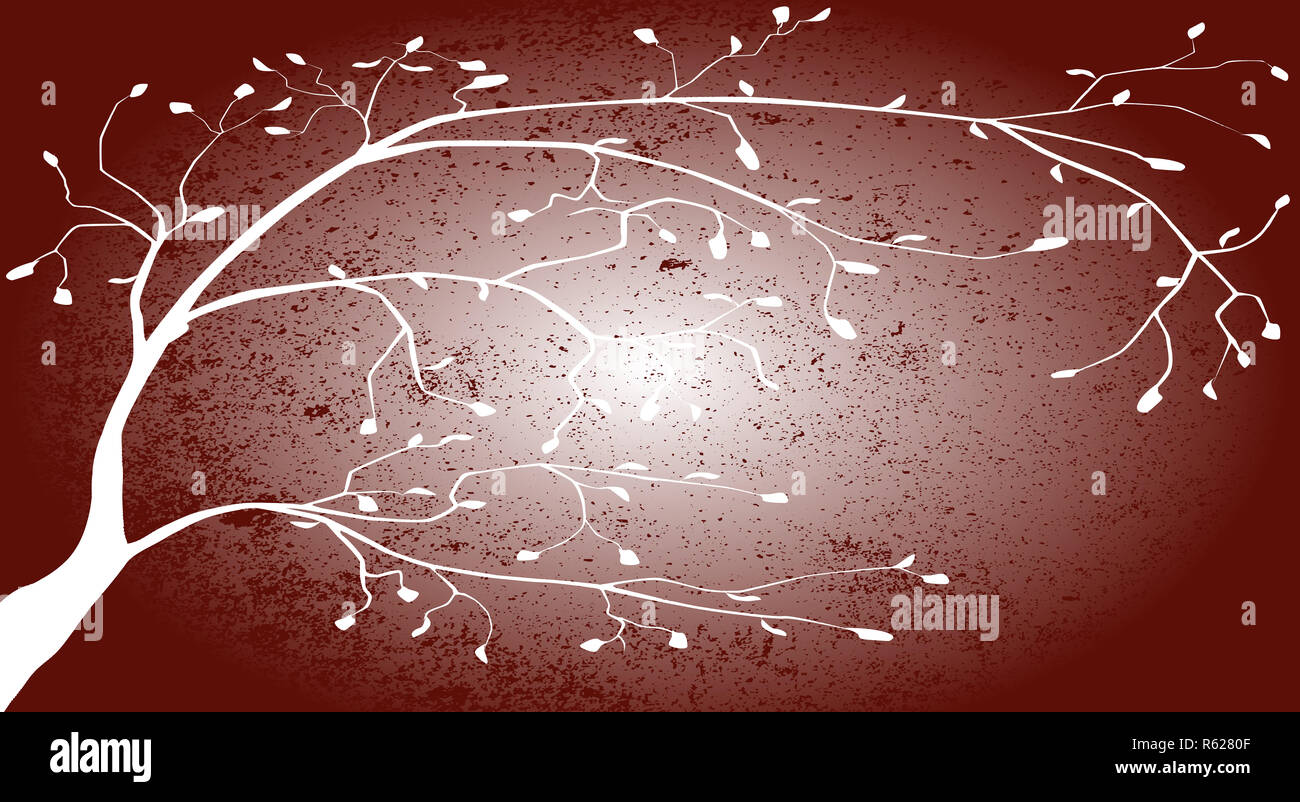 White Branch background Stock Photo - Alamy