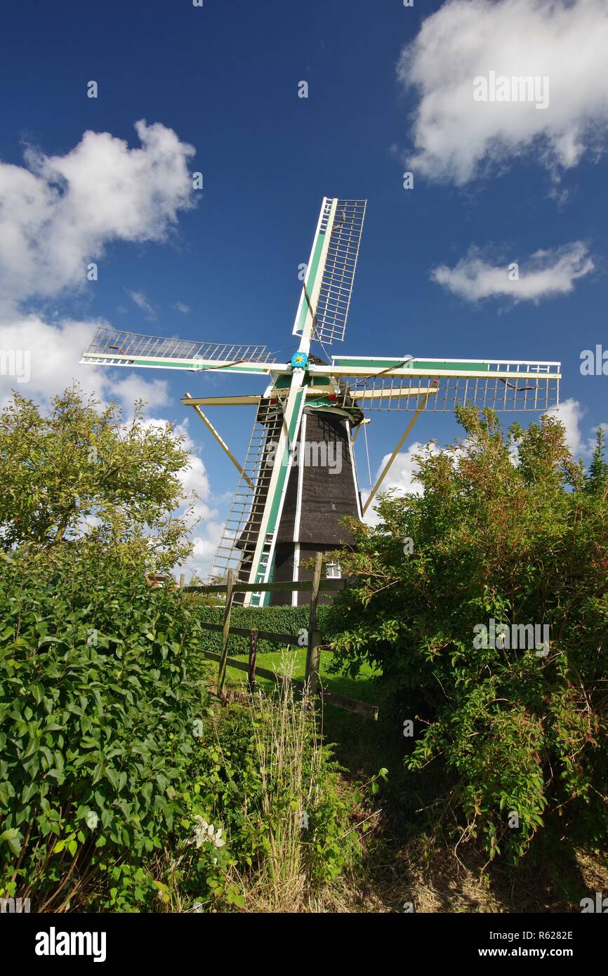 Ground sailor hi-res stock photography and images - Alamy