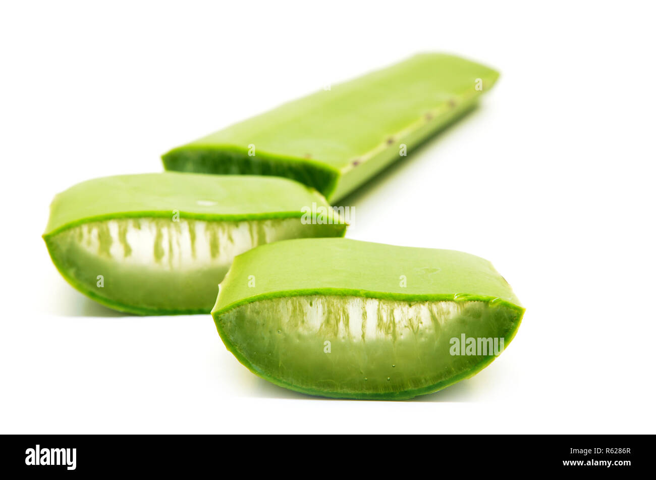 Aloe vera fresh leaf isolated Stock Photo - Alamy