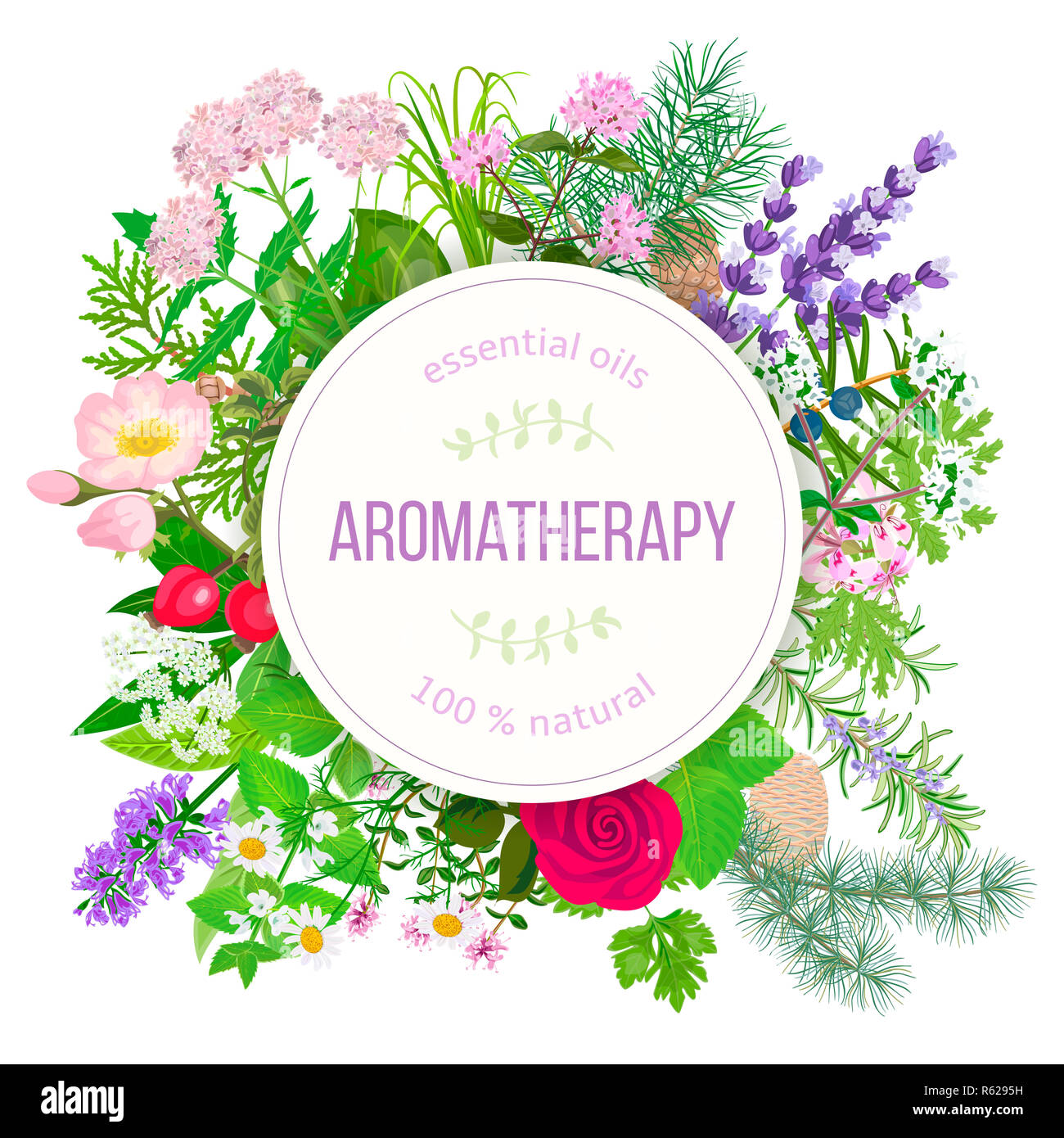 Popular essential oil plants label set. round badge with text ...