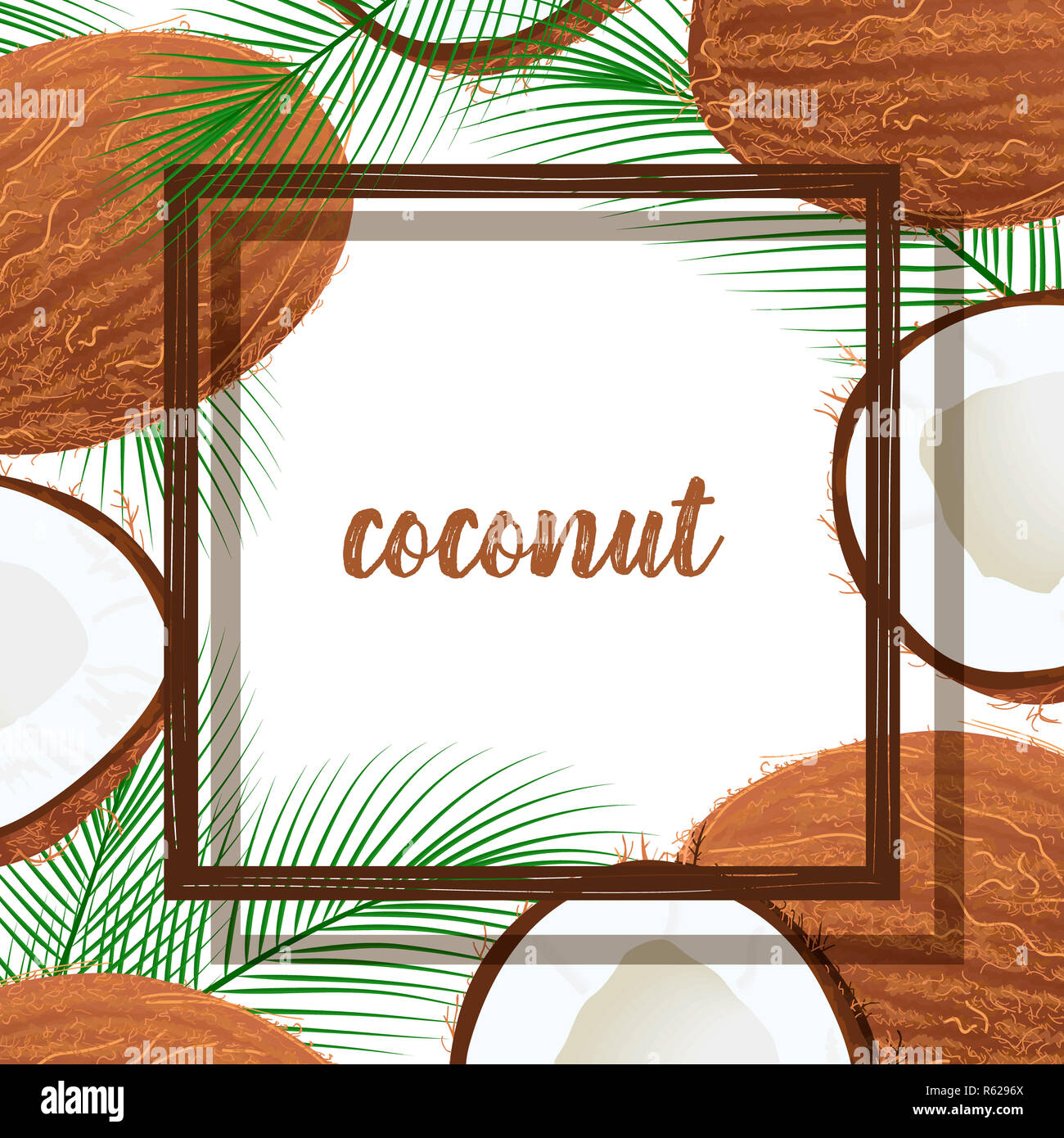 Vector frame with coconuts and tropical leaves Stock Photo - Alamy
