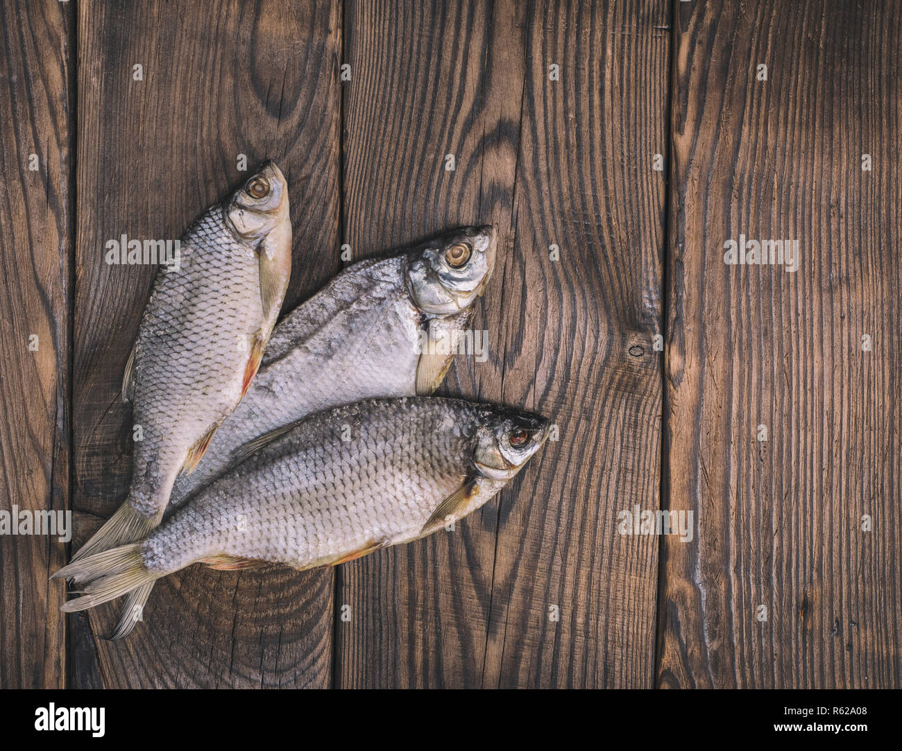 Three roach fish with scales Stock Photo - Alamy