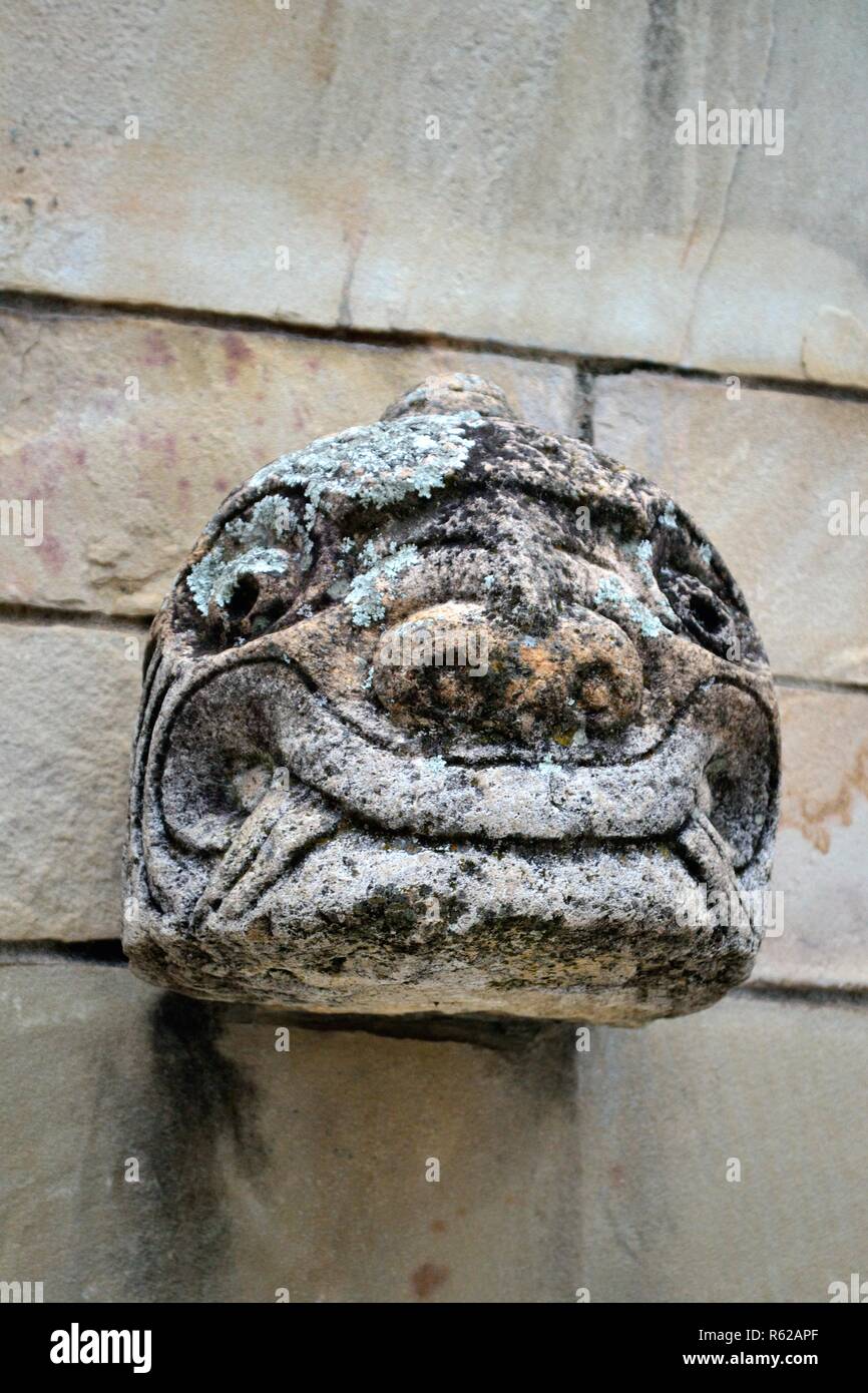 Jaguar chavin de huantar peru hi-res stock photography and images - Alamy