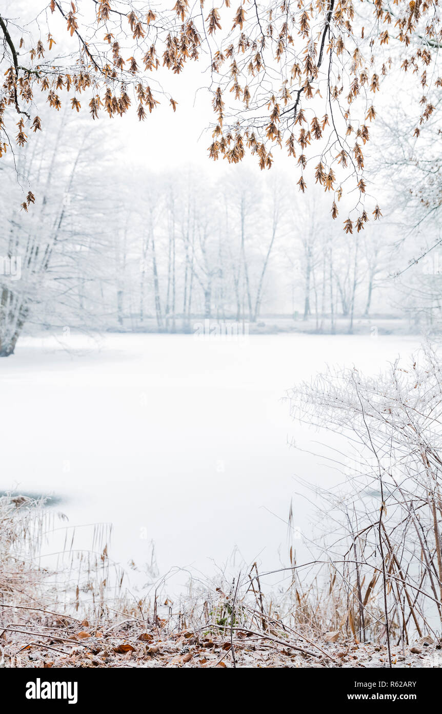 winter mood at the frozen lake with fog Stock Photo - Alamy