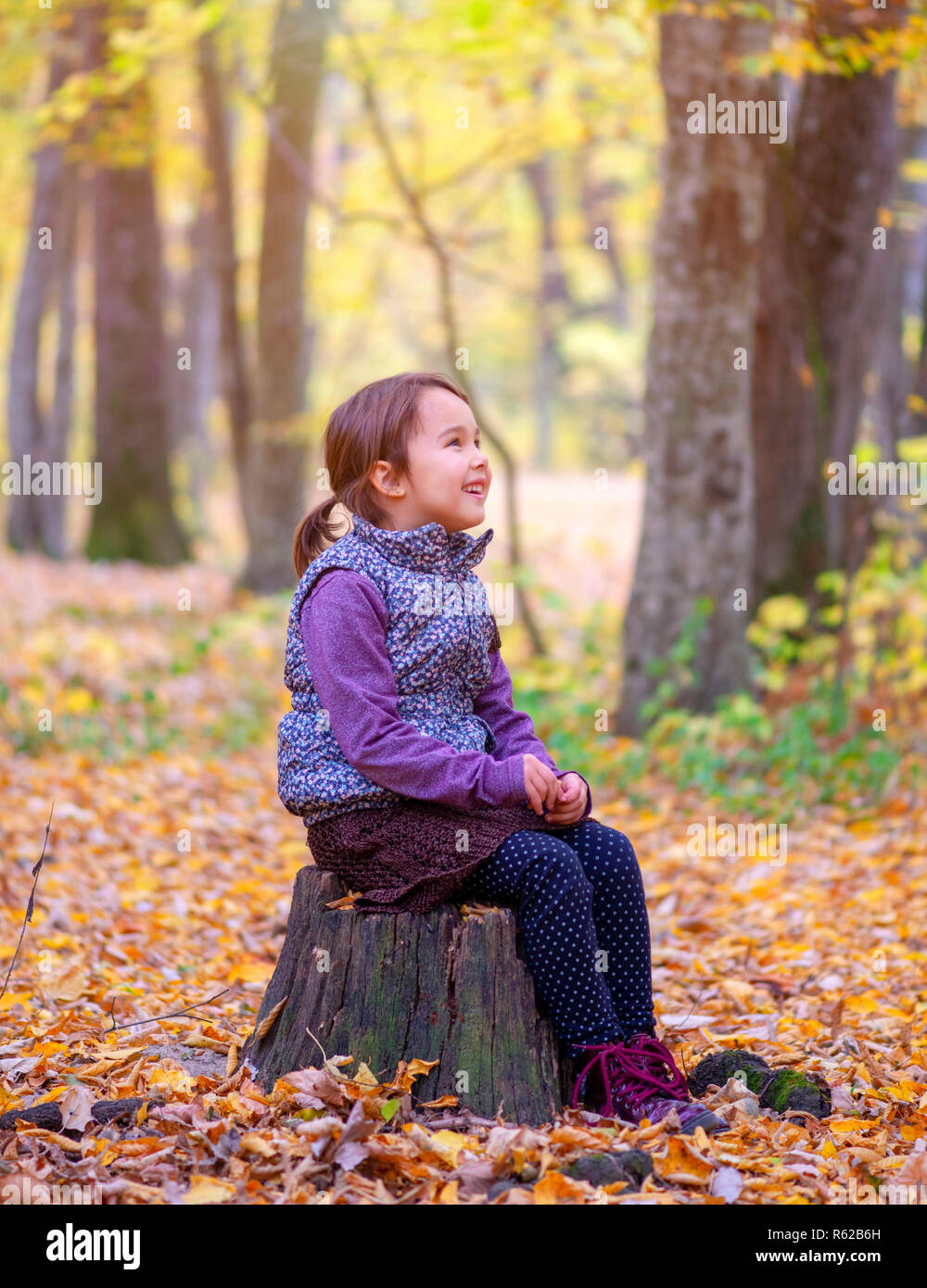 Beautiful little tree hi-res stock photography and images - Alamy