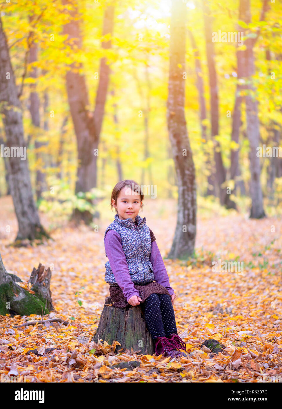 beautiful little girl stands on a trunk of tree smiling Stock Photo - Alamy