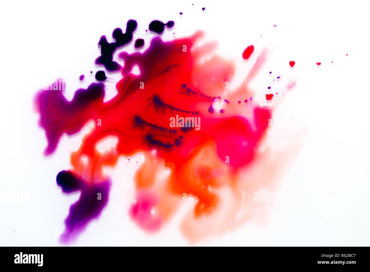 a spot of red paint on a white background. stain and spray Stock Photo ...