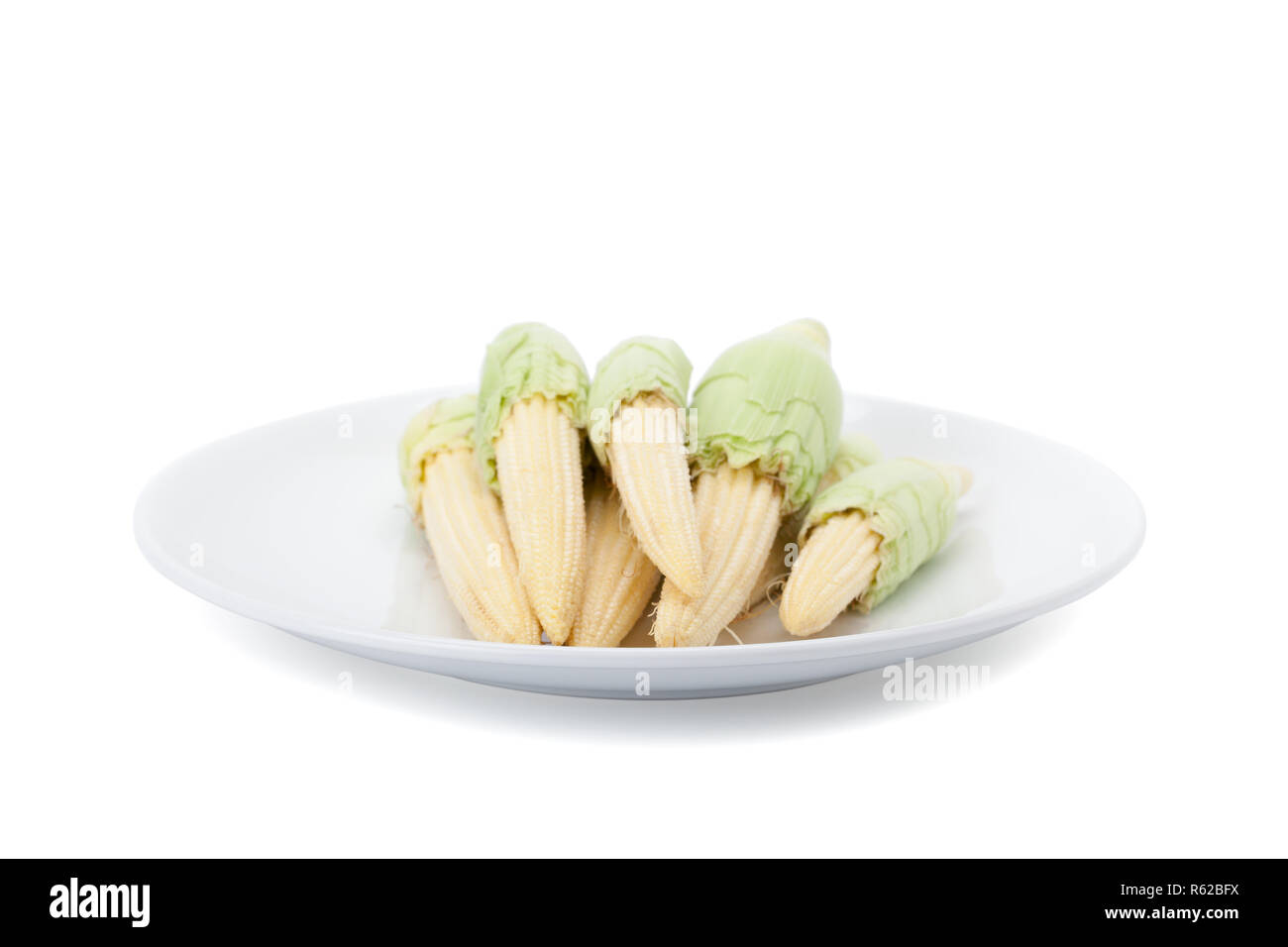 Little corn plant Cut Out Stock Images & Pictures - Alamy