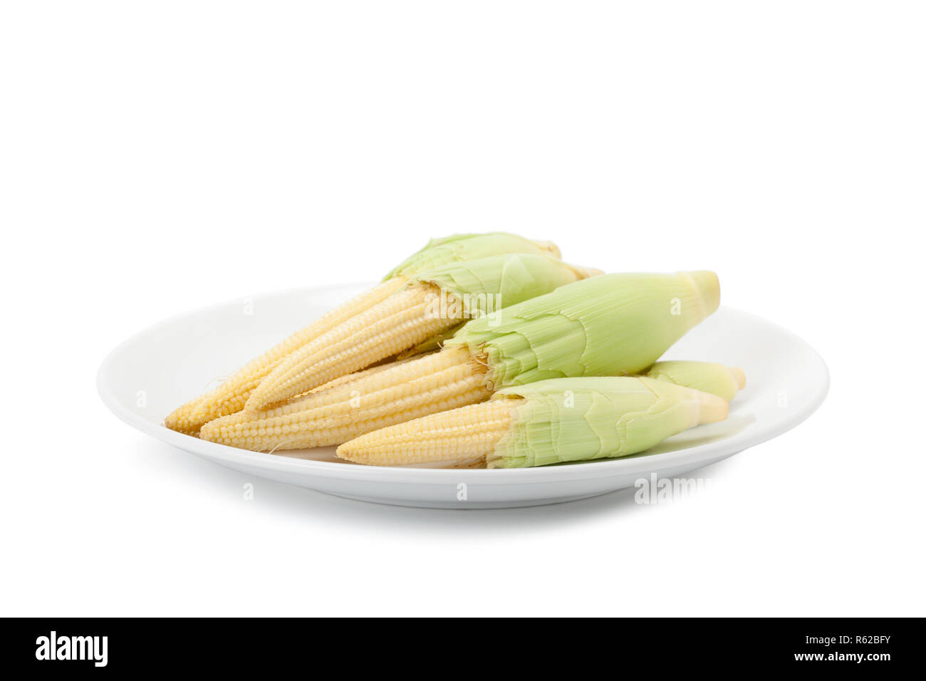 Baby corn farming Cut Out Stock Images & Pictures - Alamy