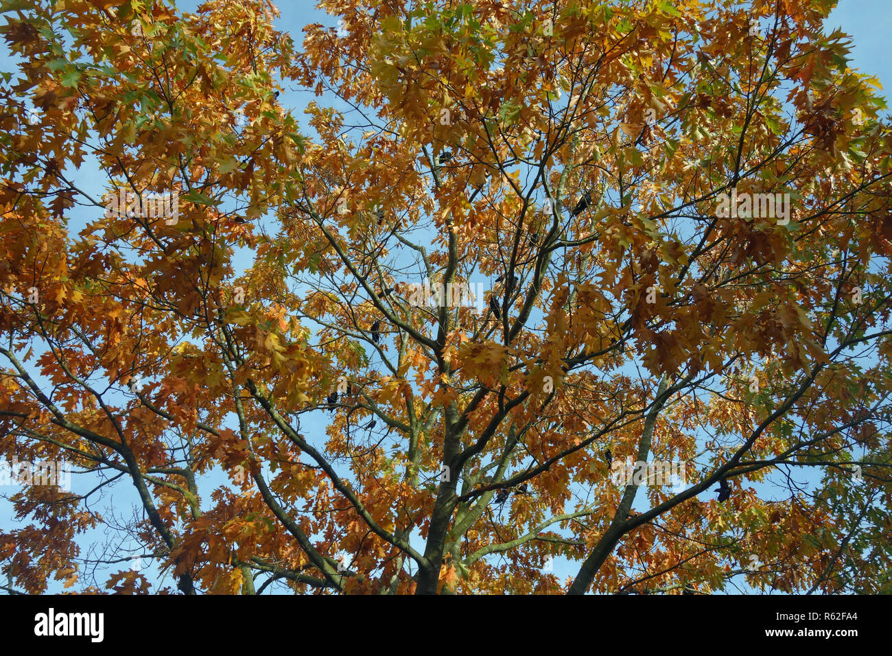 Kalenderfoto hi-res stock photography and images - Alamy