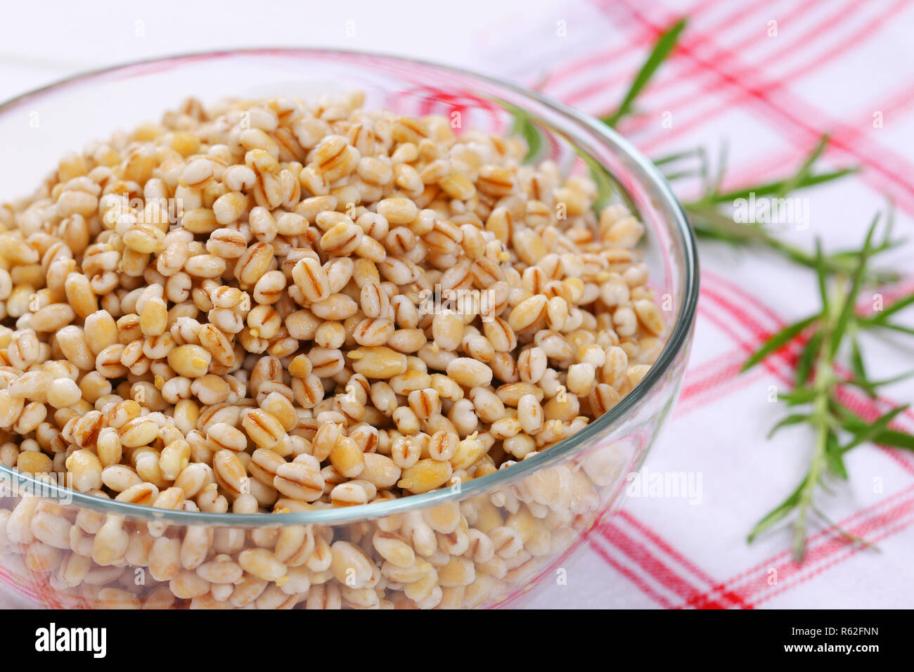 cooked pearl barley Stock Photo - Alamy