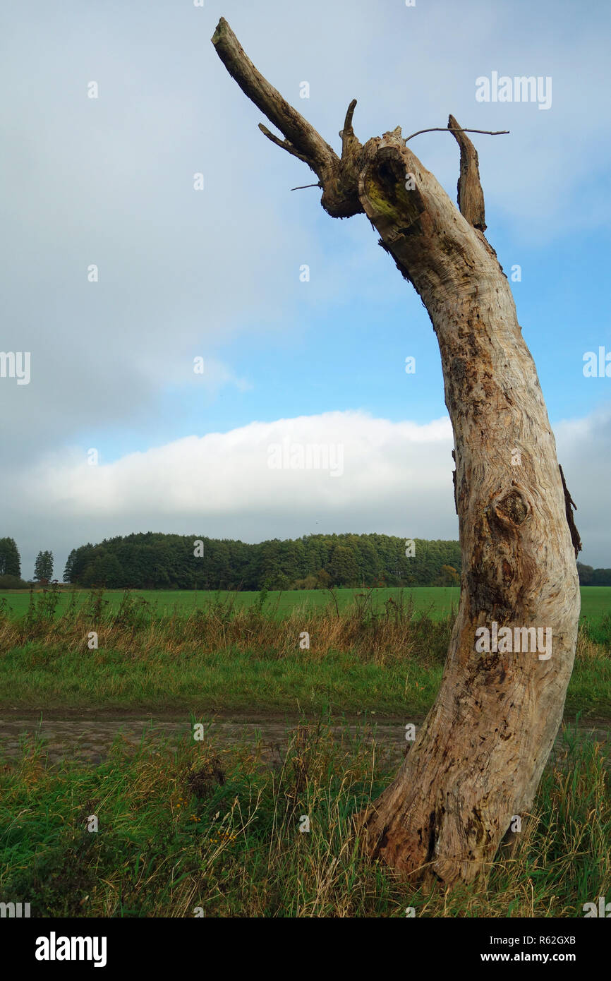 Cdcover hi-res stock photography and images - Alamy