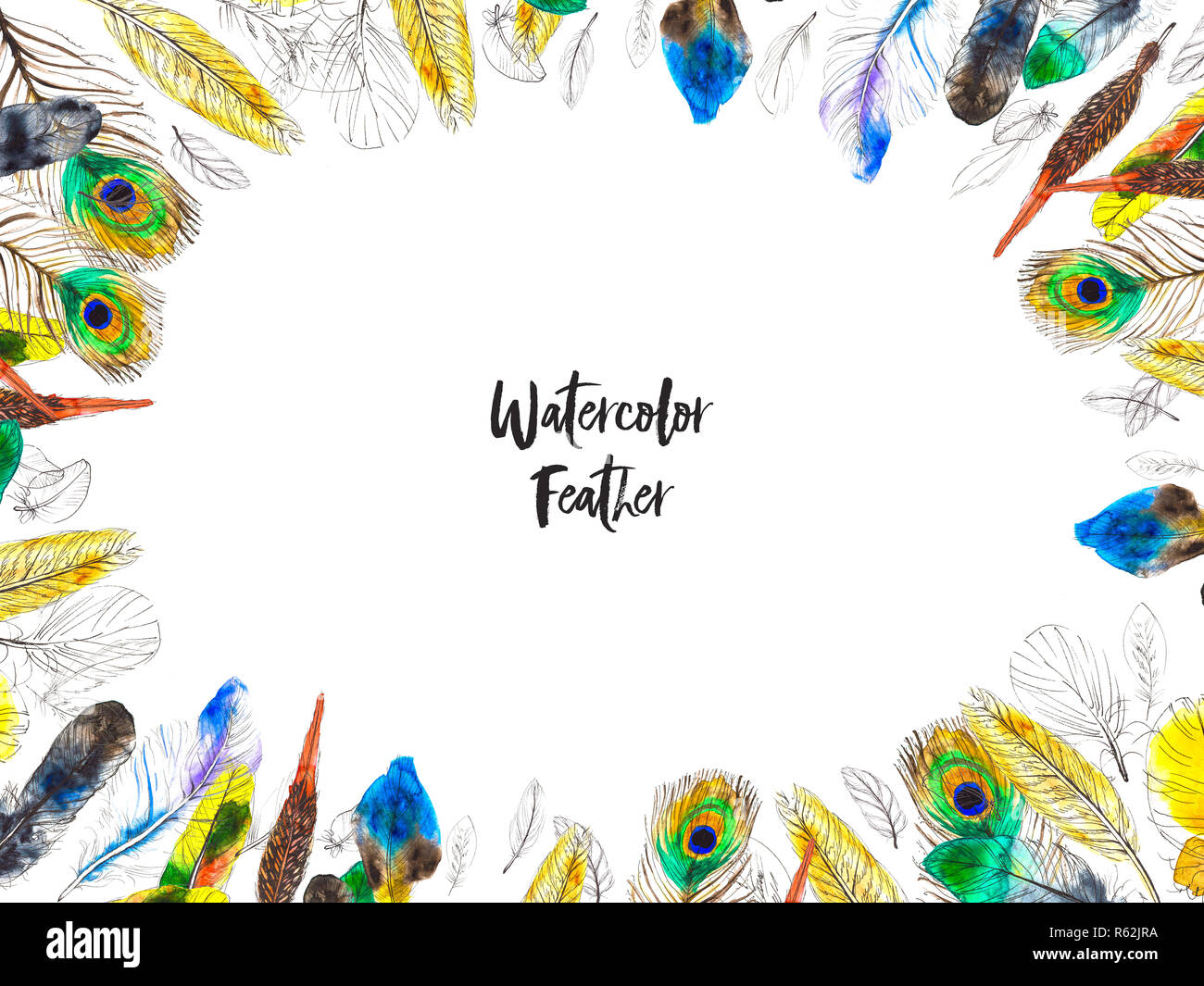 Watercolor frame with colorful feathers on white background Stock Photo ...