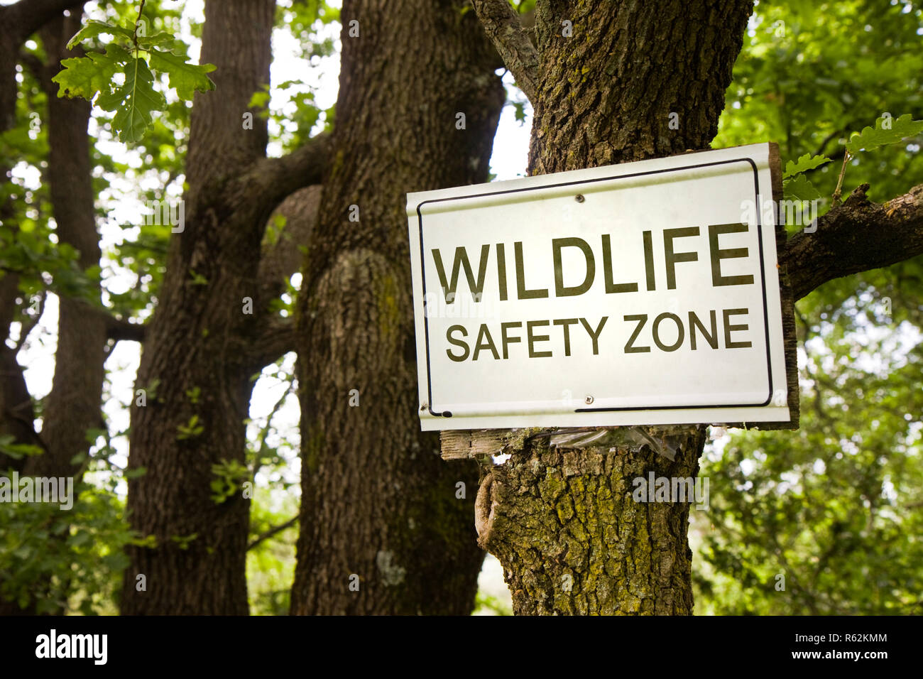 Country road writing hi-res stock photography and images - Alamy