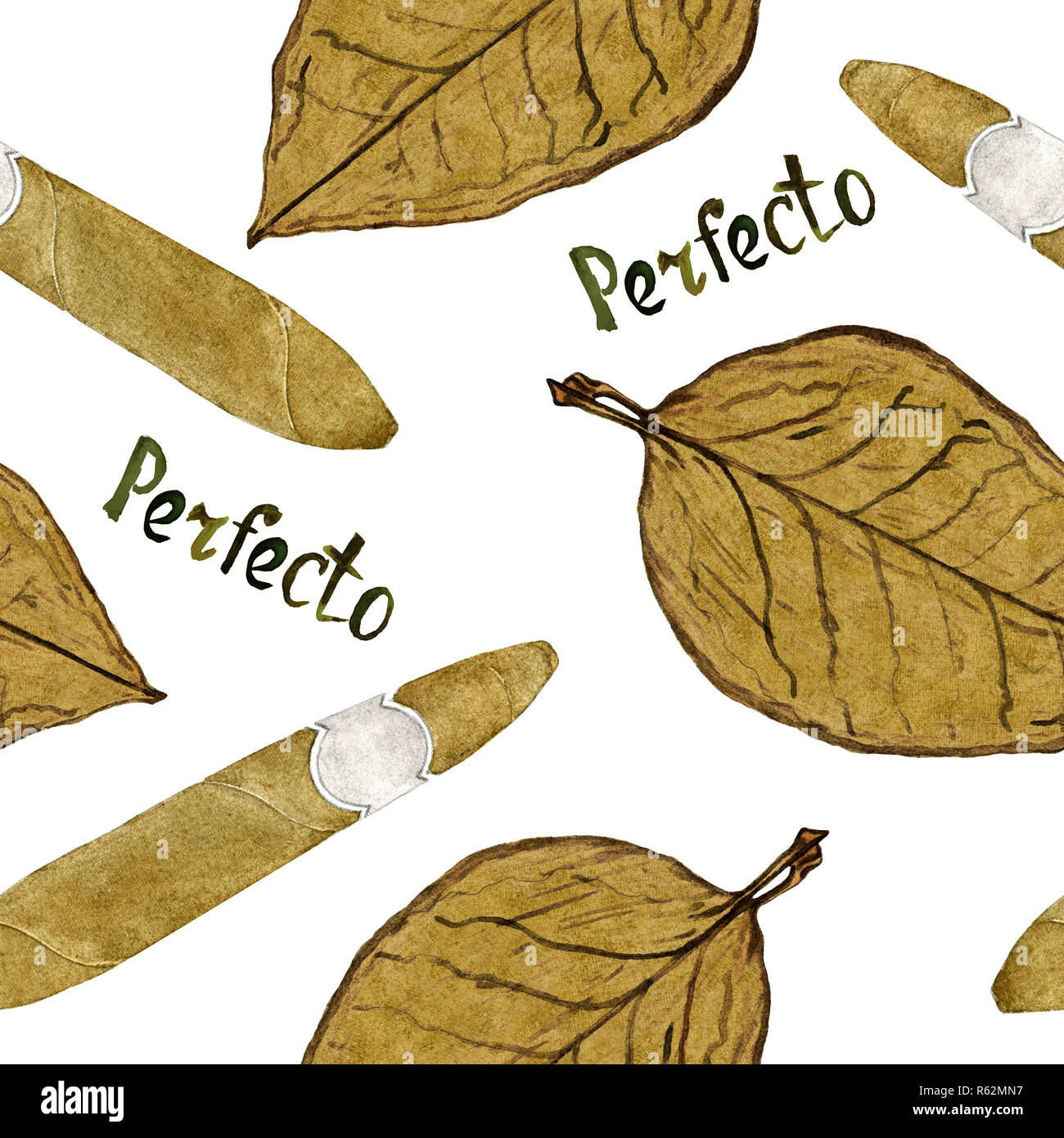 Perfecto cigar shape and tobacco leaf, hand painted watercolor ...