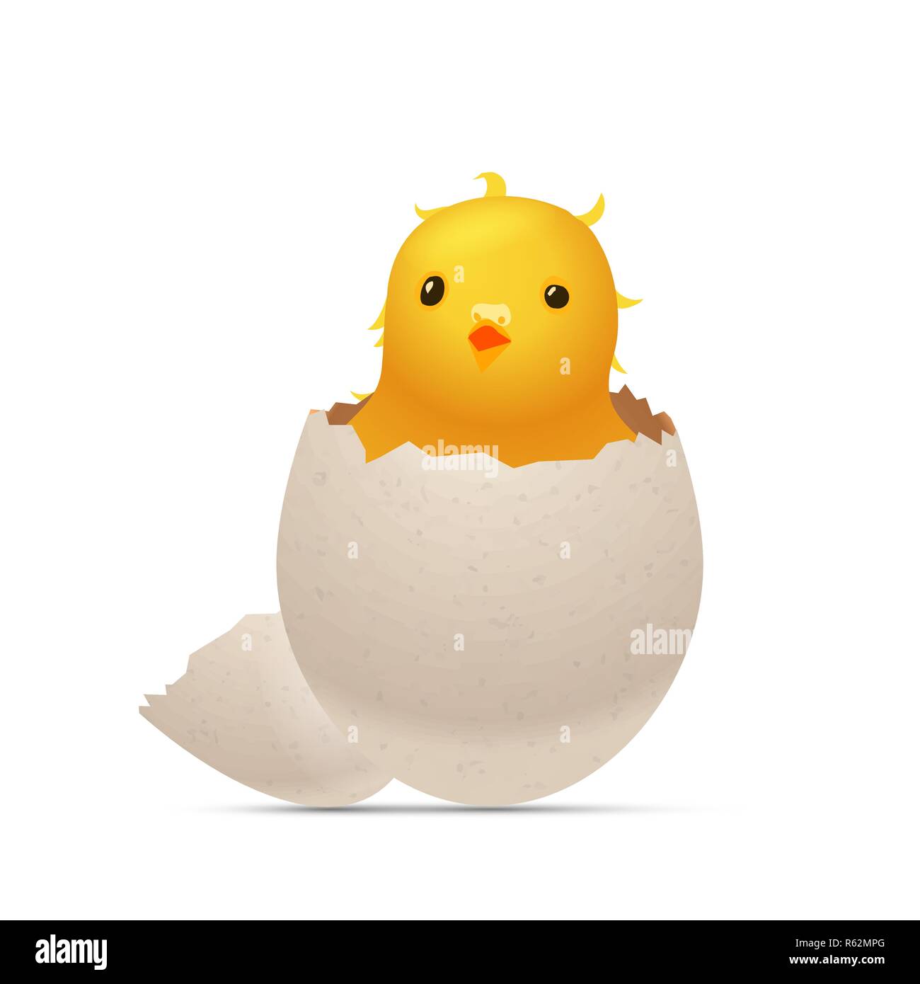 Chicks cut out Stock Vector Images - Alamy