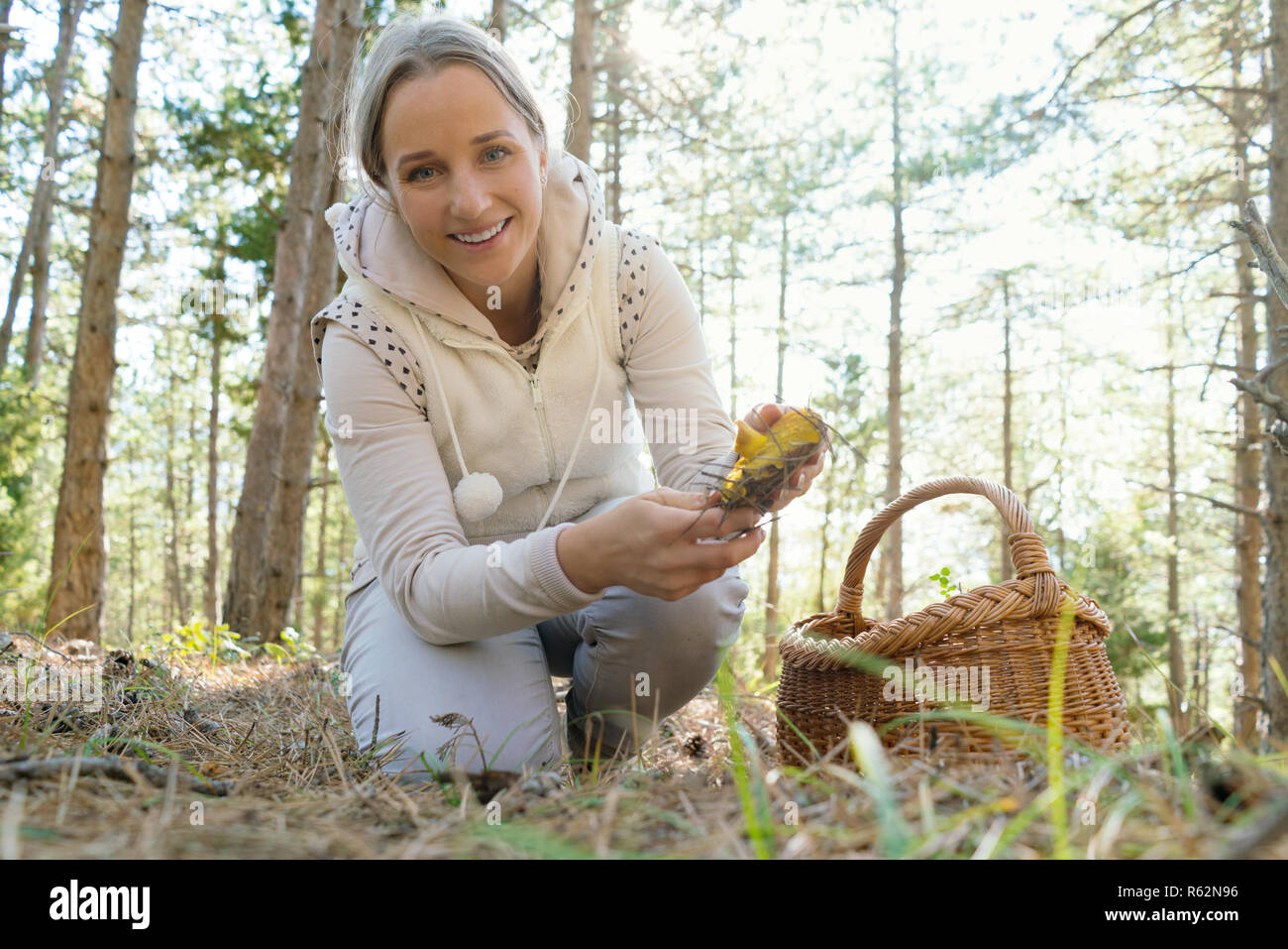 Picking mushrooms hi-res stock photography and images - Alamy