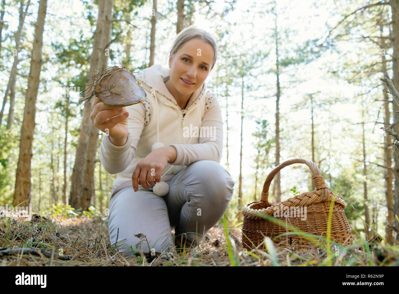 Mushrooming, woman picking mushrooms in the forest Stock Photo - Alamy