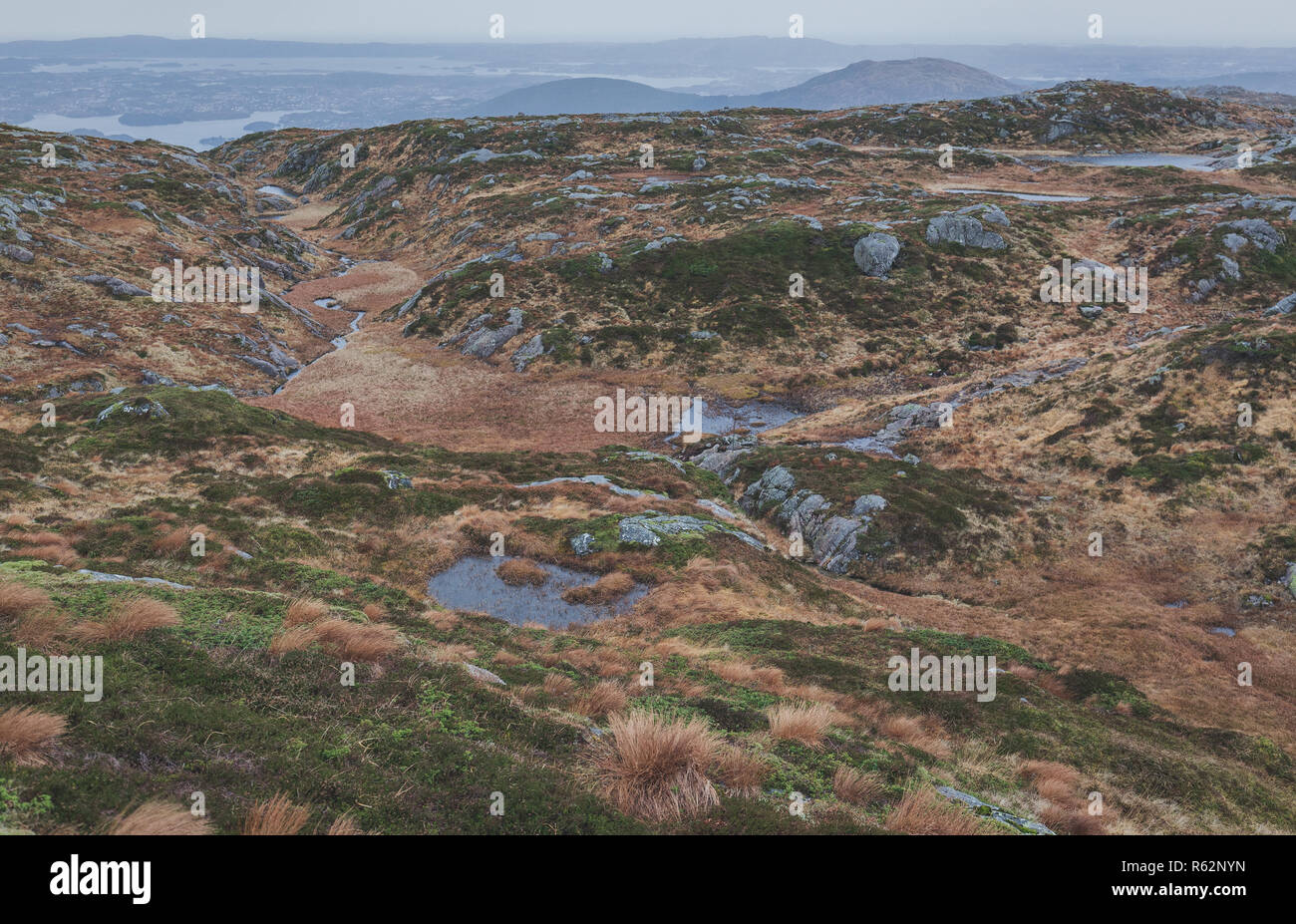 Moss ponds hi-res stock photography and images - Alamy