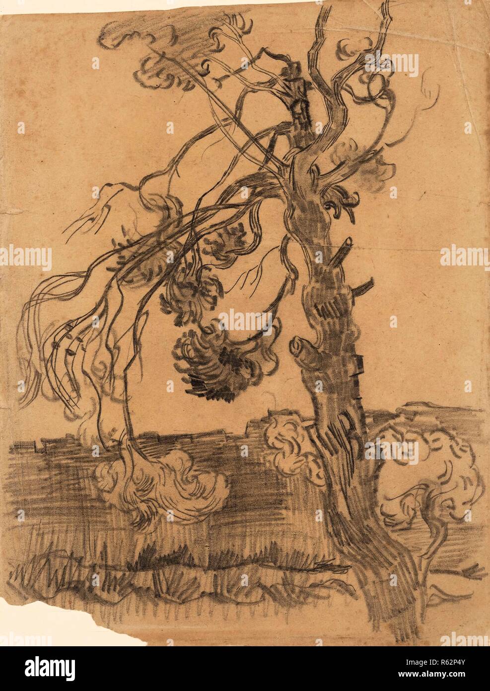 Garden of the asylum 1889 by vincent van gogh hi-res stock photography ...