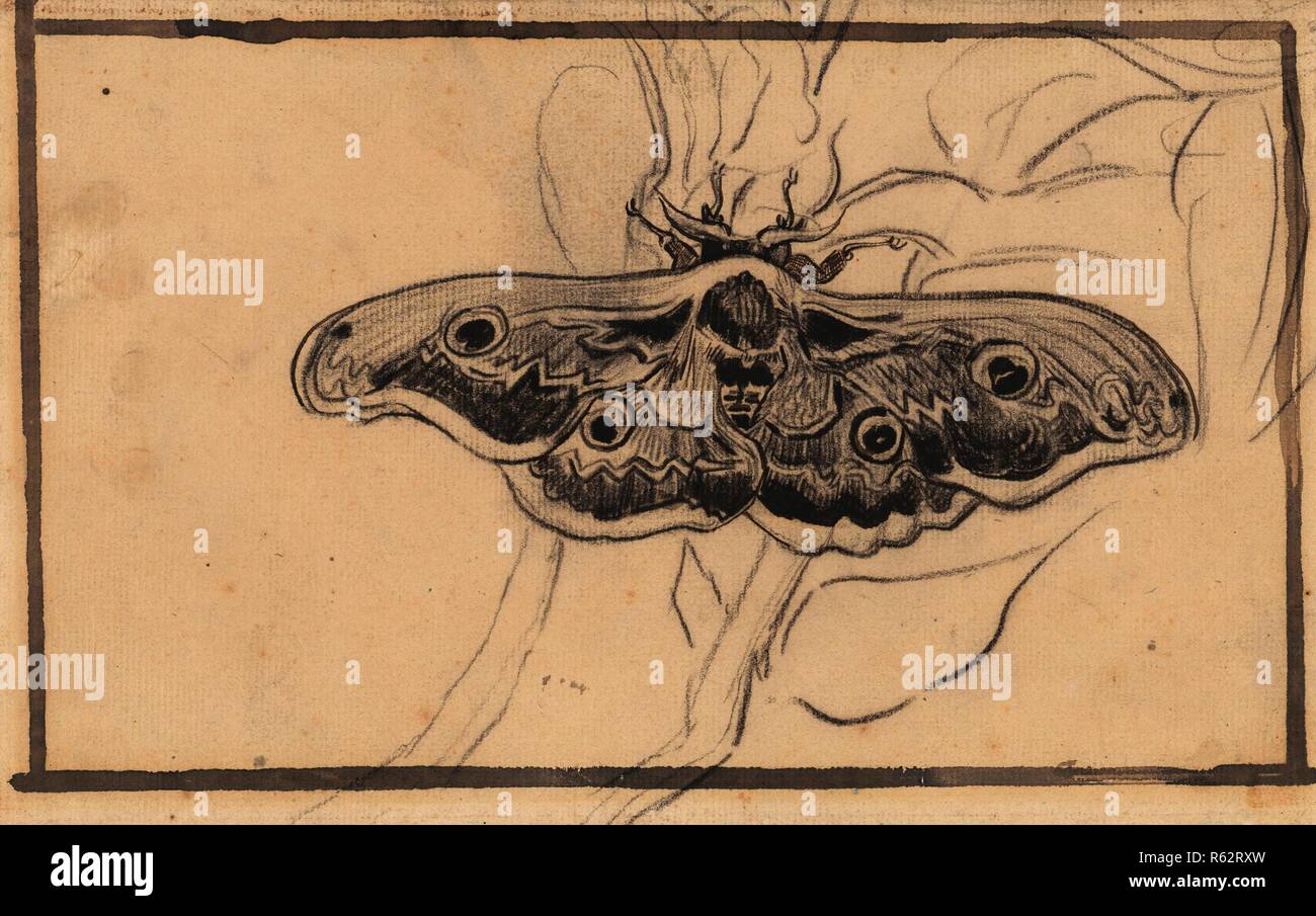Giant Peacock Moth. Date: May 1889, Saint-Rémy-de-Provence. Dimensions ...