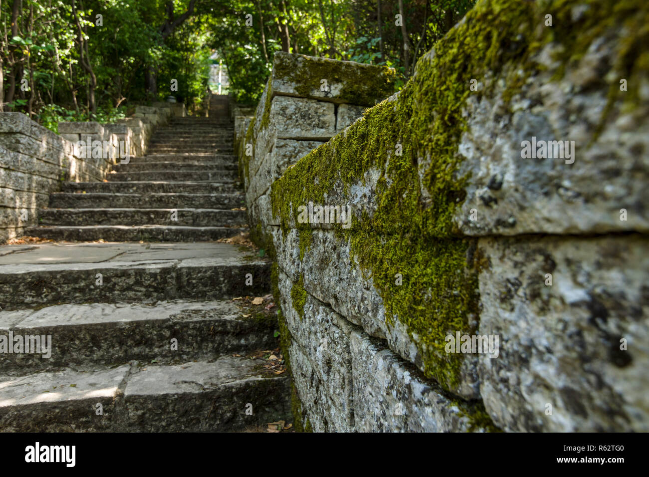 Moss on a stone hi-res stock photography and images - Alamy