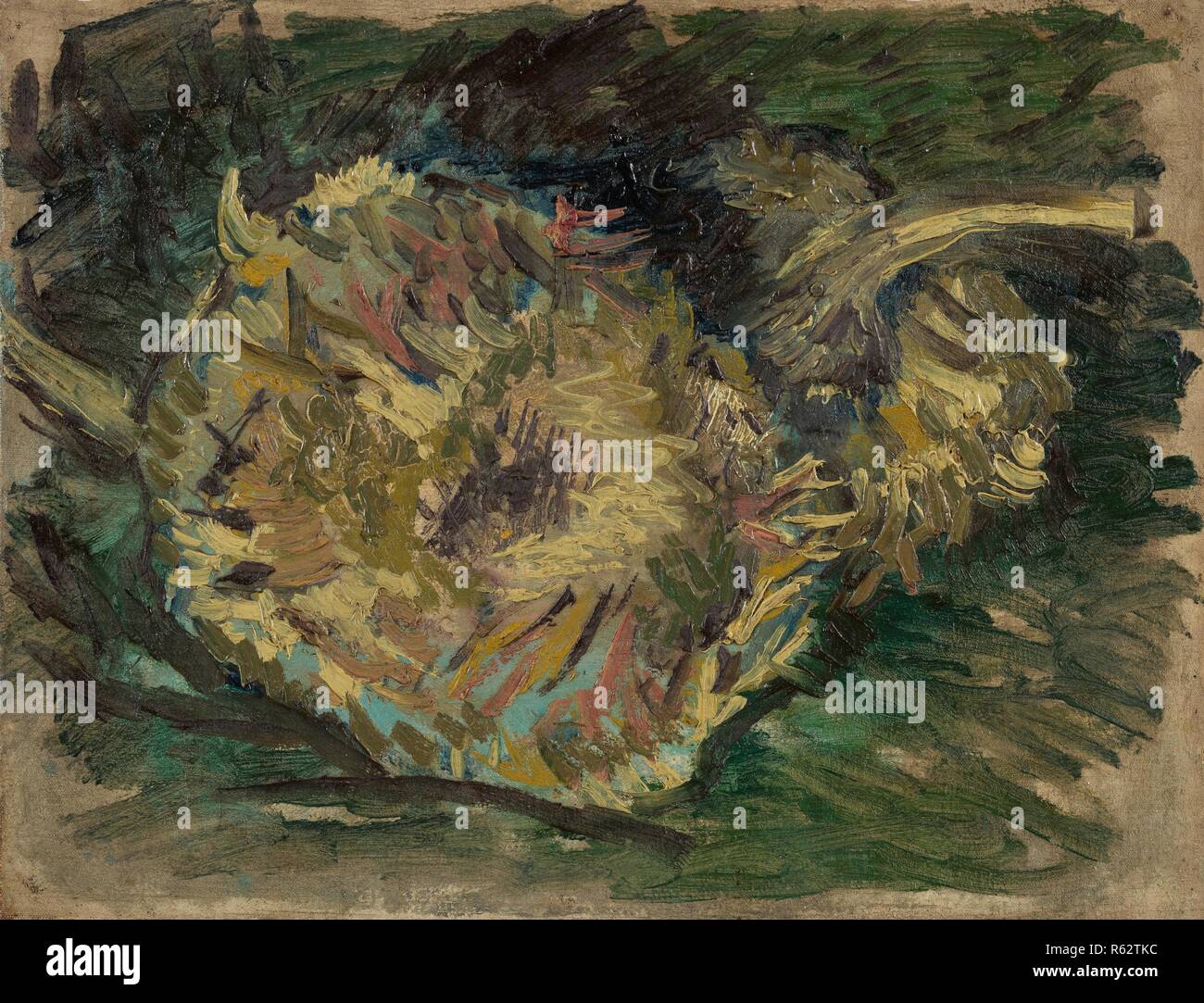Sunflowers van gogh 1887 amsterdam hi-res stock photography and images ...