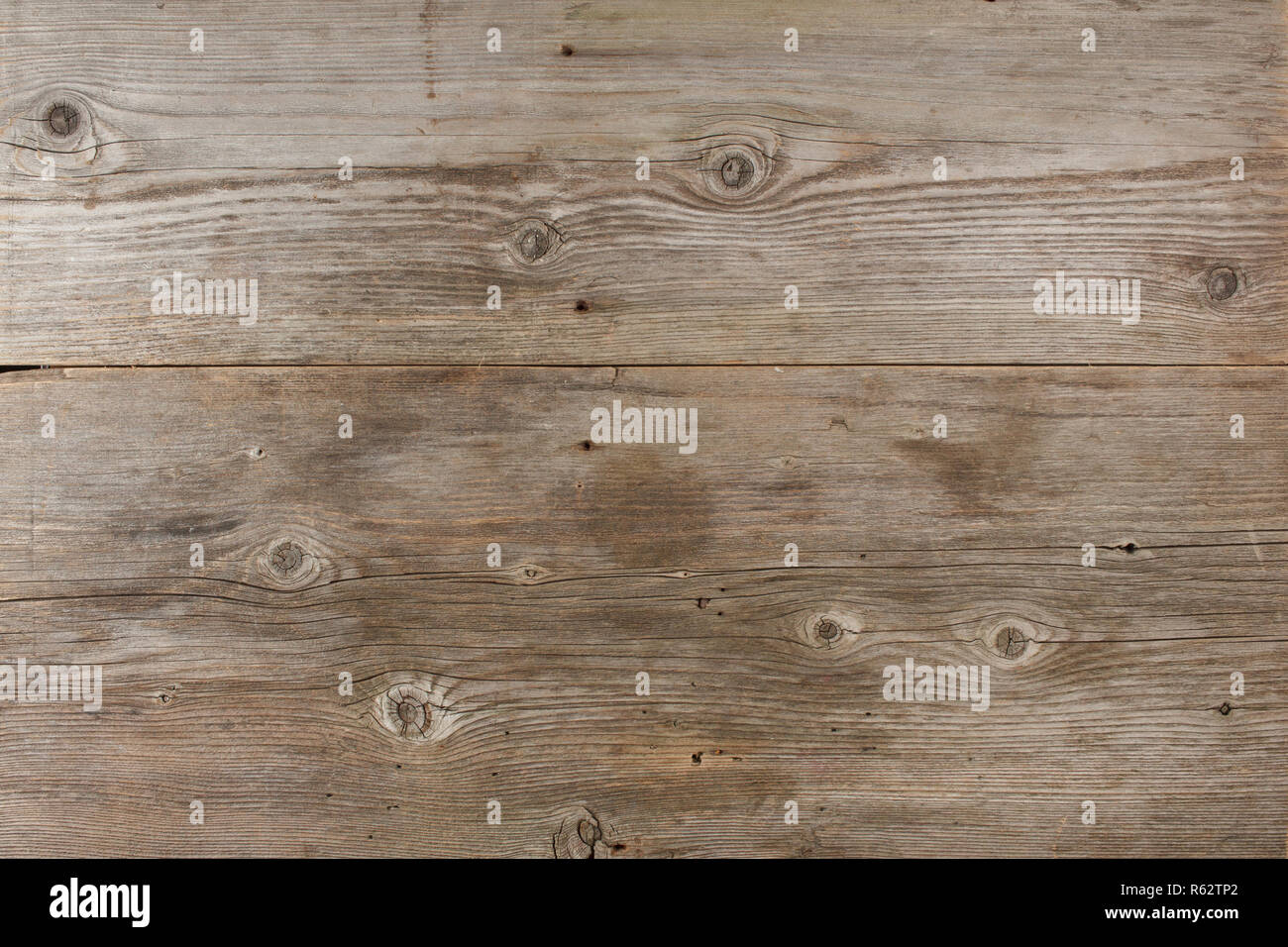 Texture of fir tree Wood. Old wooden texture background. Rustic Stock ...