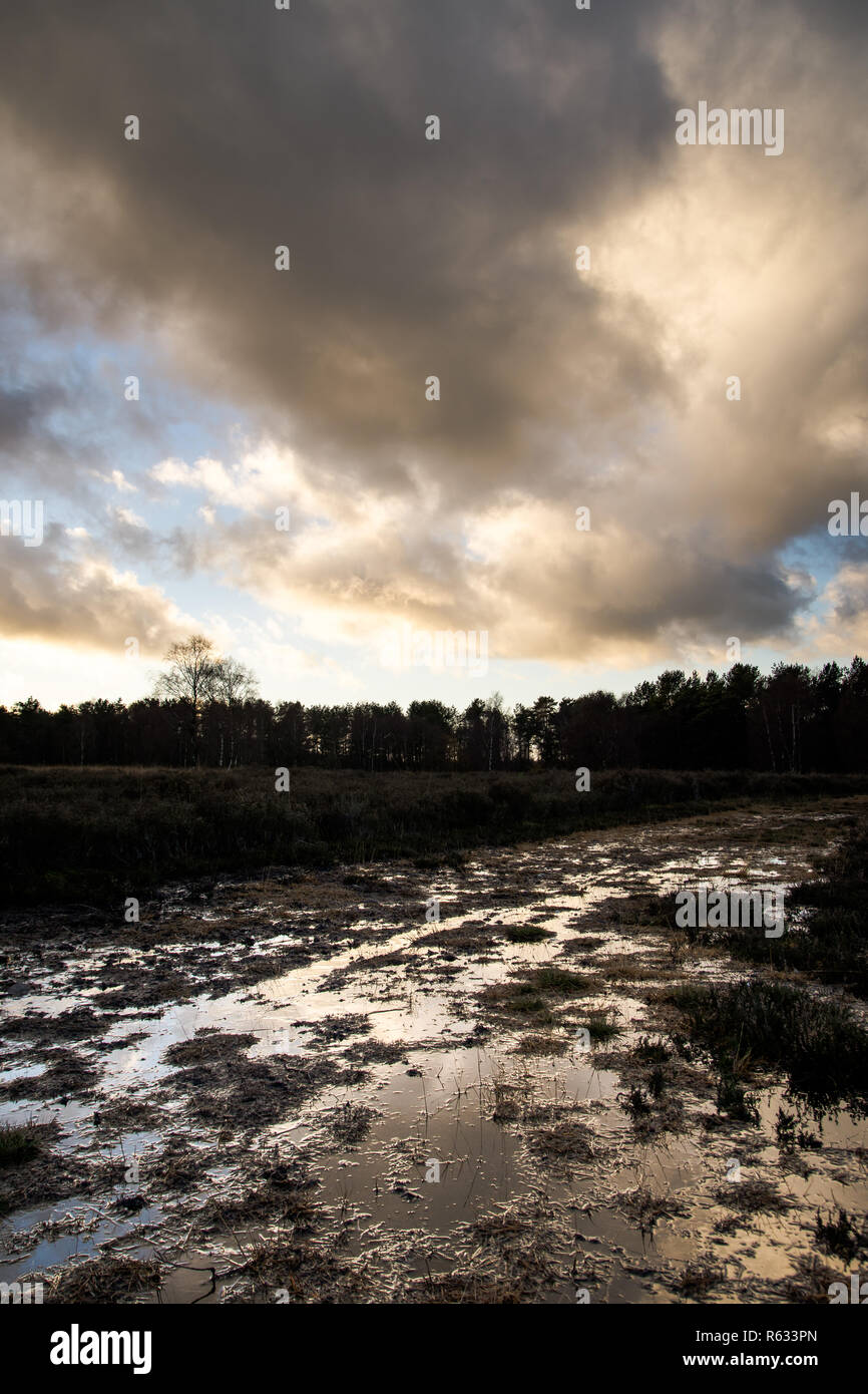 Cannock town hi-res stock photography and images - Alamy