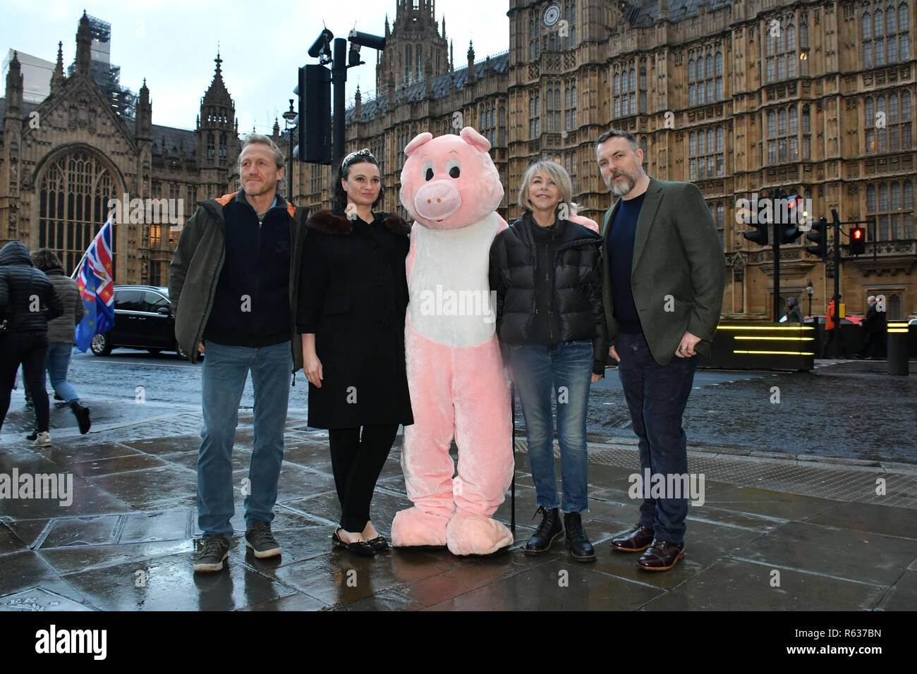 Pig farming northern ireland hi-res stock photography and images - Alamy