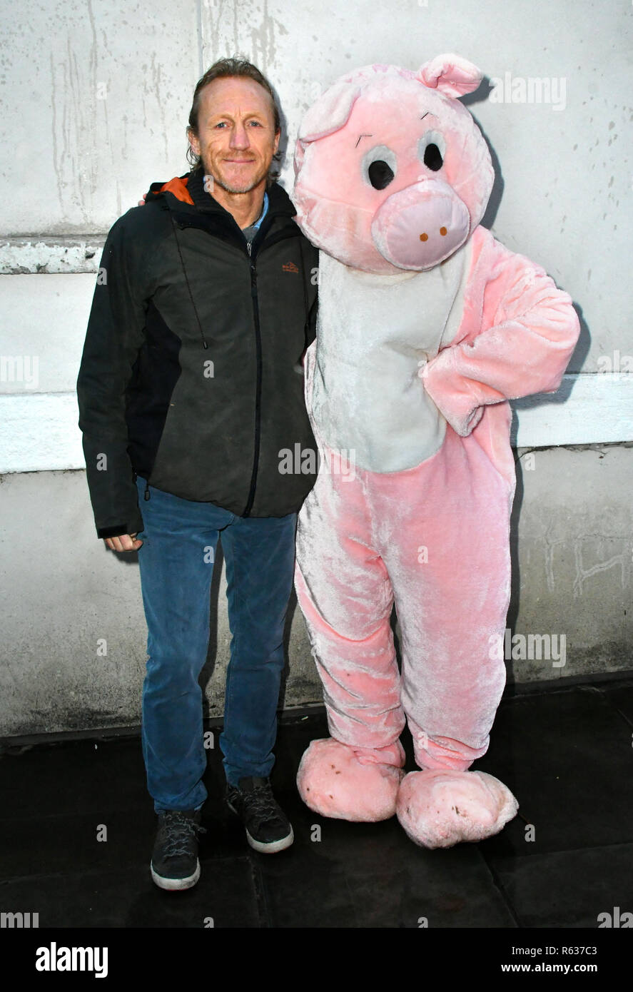 Pig farming northern ireland hi-res stock photography and images - Alamy