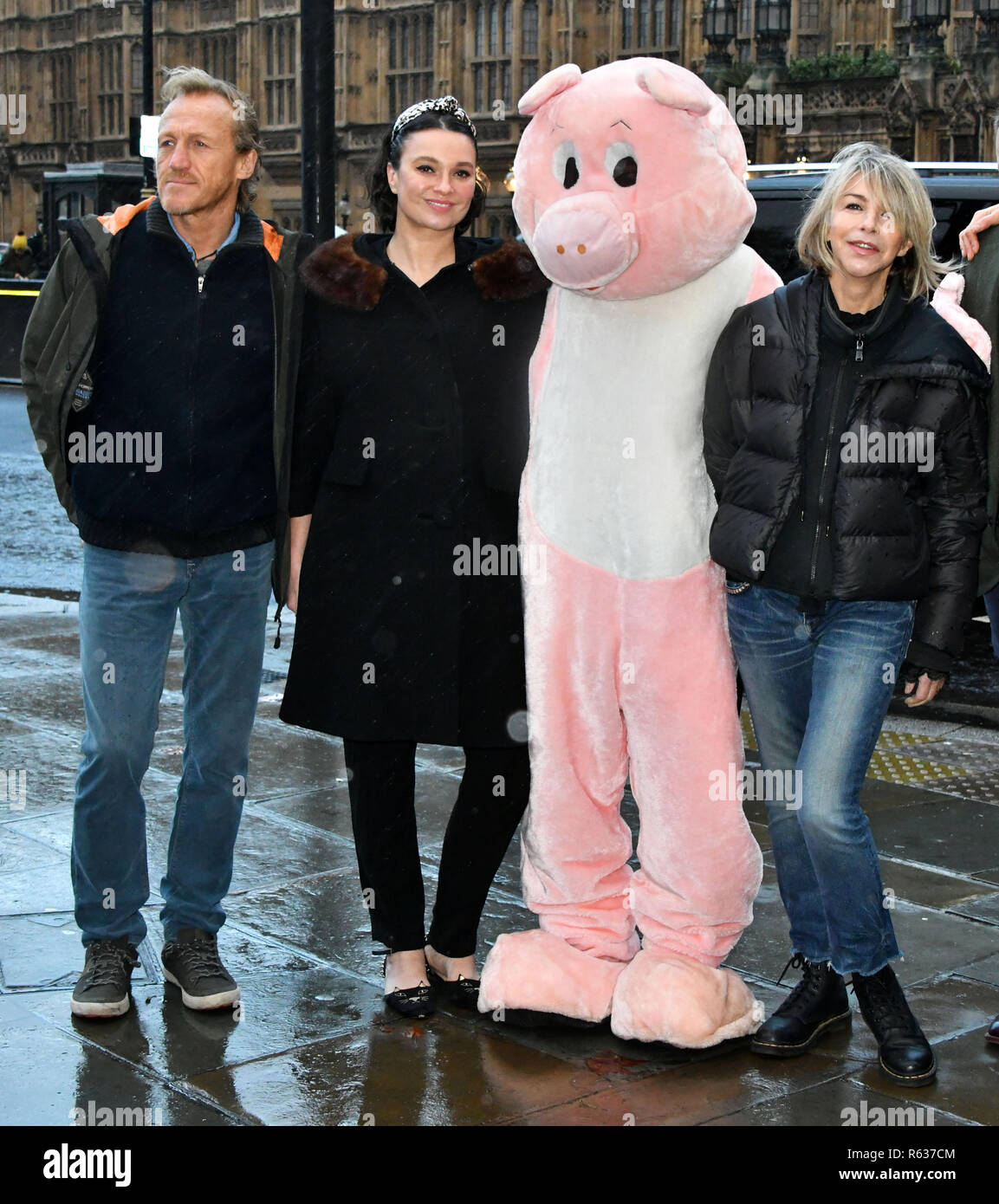 Pig farming northern ireland hi-res stock photography and images - Alamy