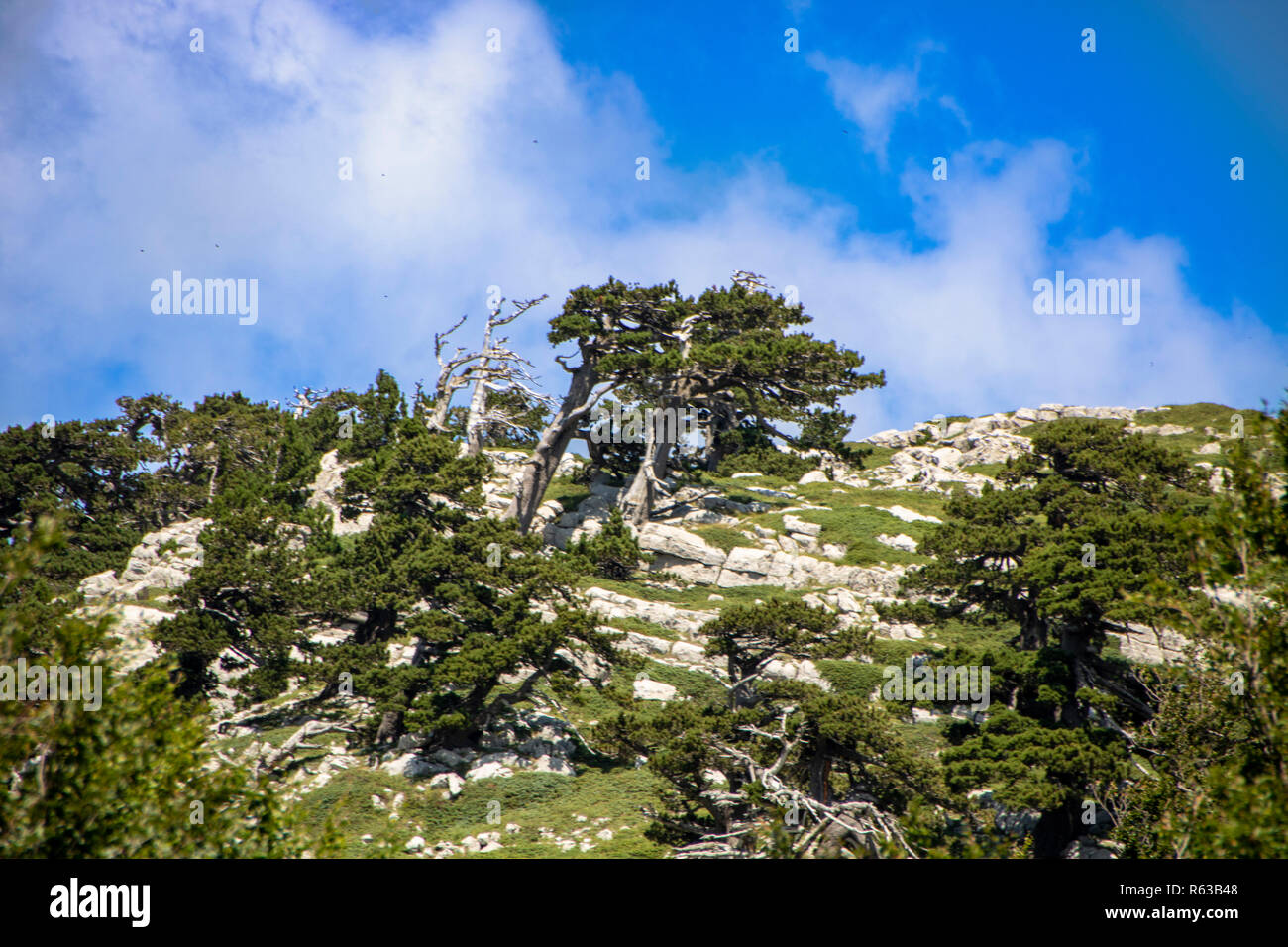 Massif calabrian lucan of pollino hi-res stock photography and images ...