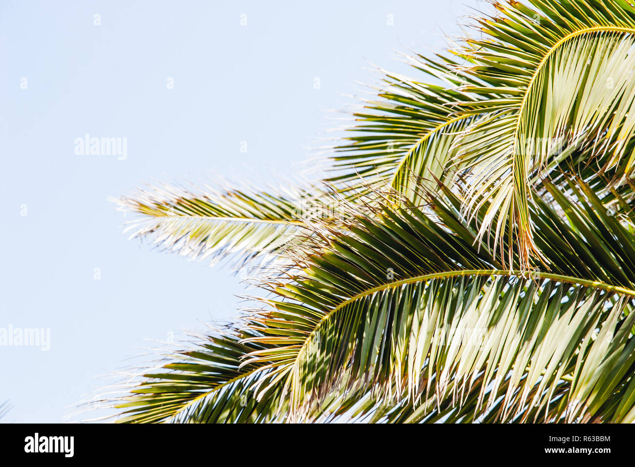 Sea view trough the terrace window Stock Photo - Alamy