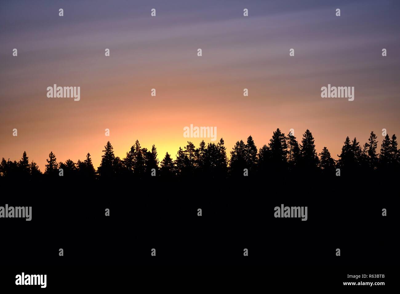 Sunset over trees Stock Photo - Alamy