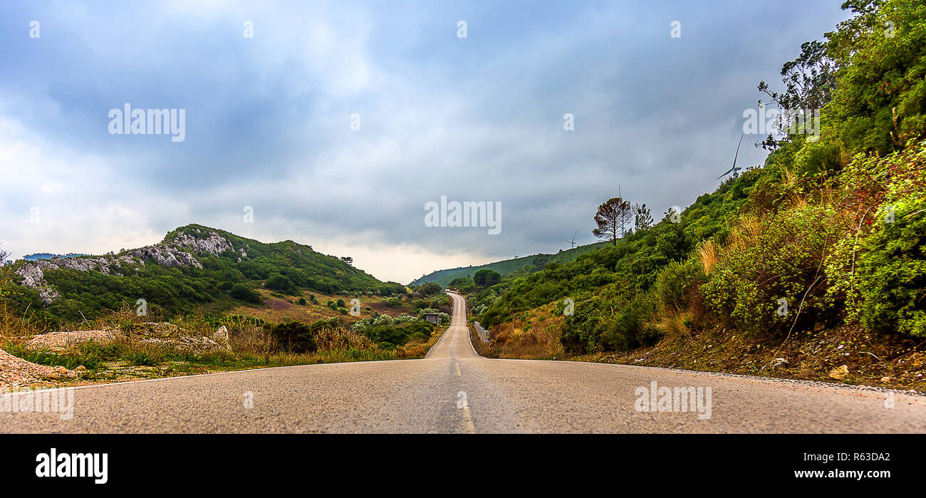 Empty forest path low view hi-res stock photography and images - Alamy