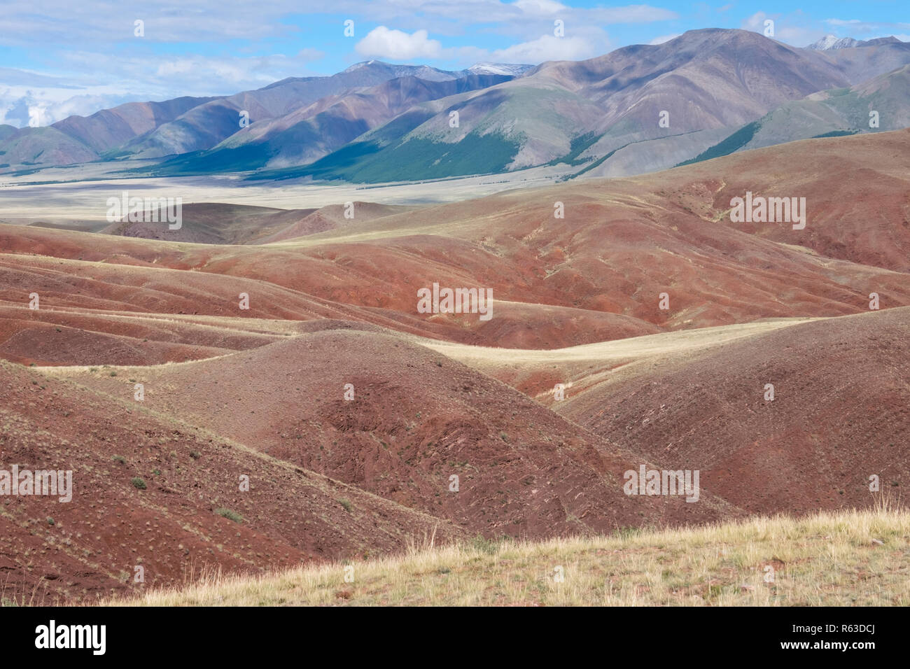 Red soil and Golden grass. Velvet landscape Stock Photo - Alamy