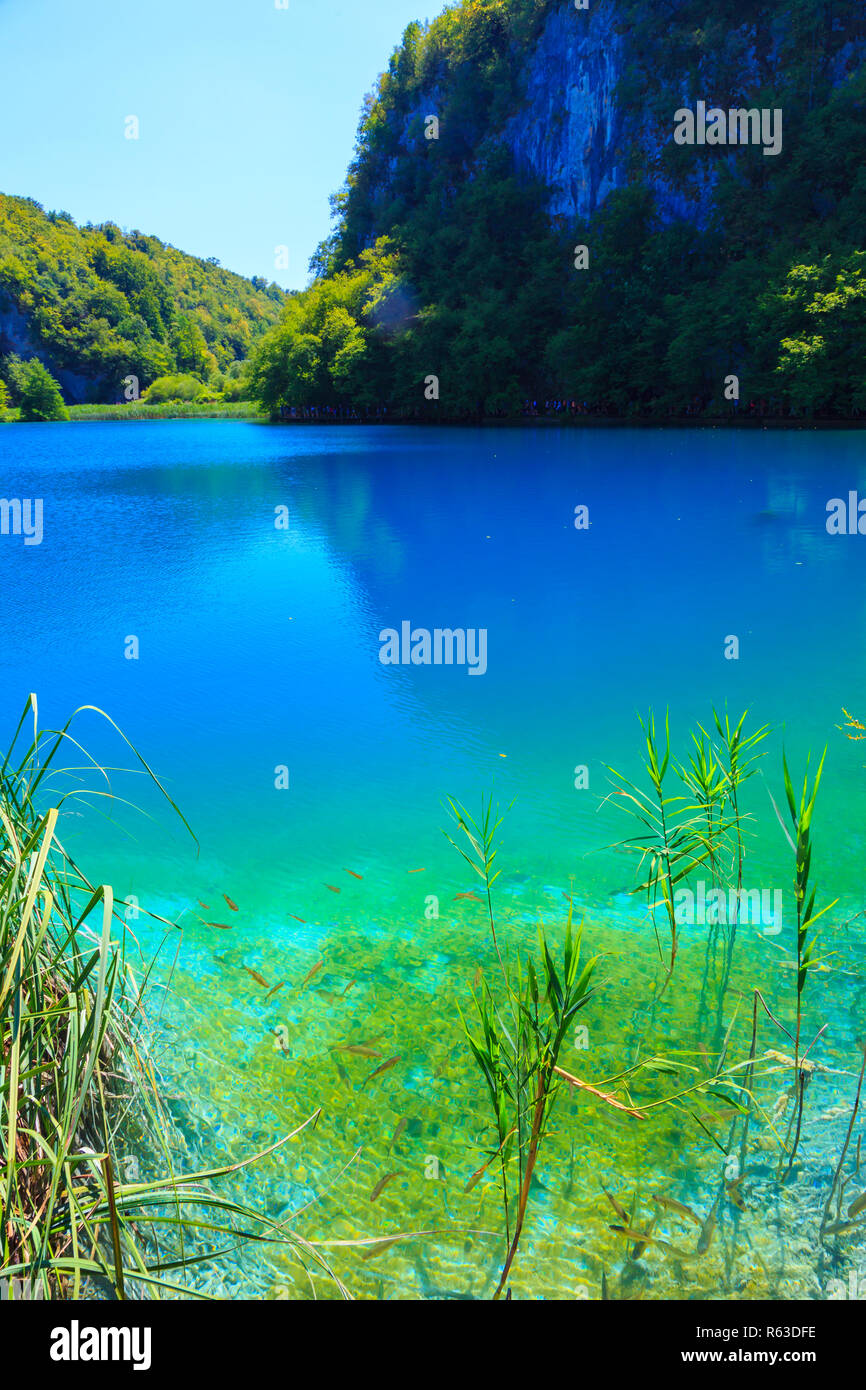 Rivers and lakes landscape of the pond and park hi-res stock ...