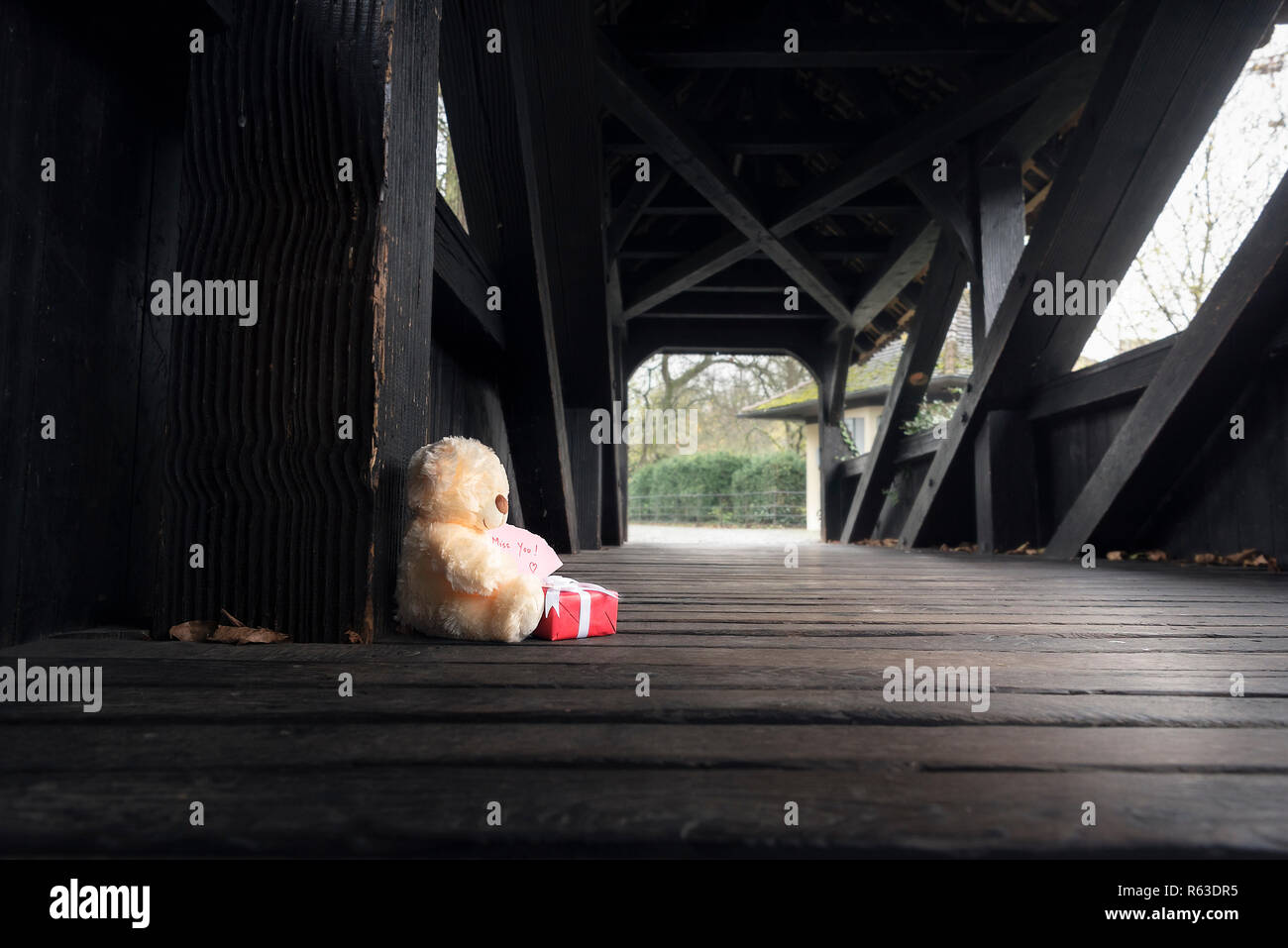 Teddy bear with gift and message Stock Photo - Alamy
