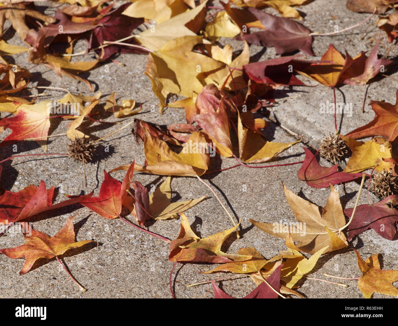 Colorful thin brick hi-res stock photography and images - Alamy