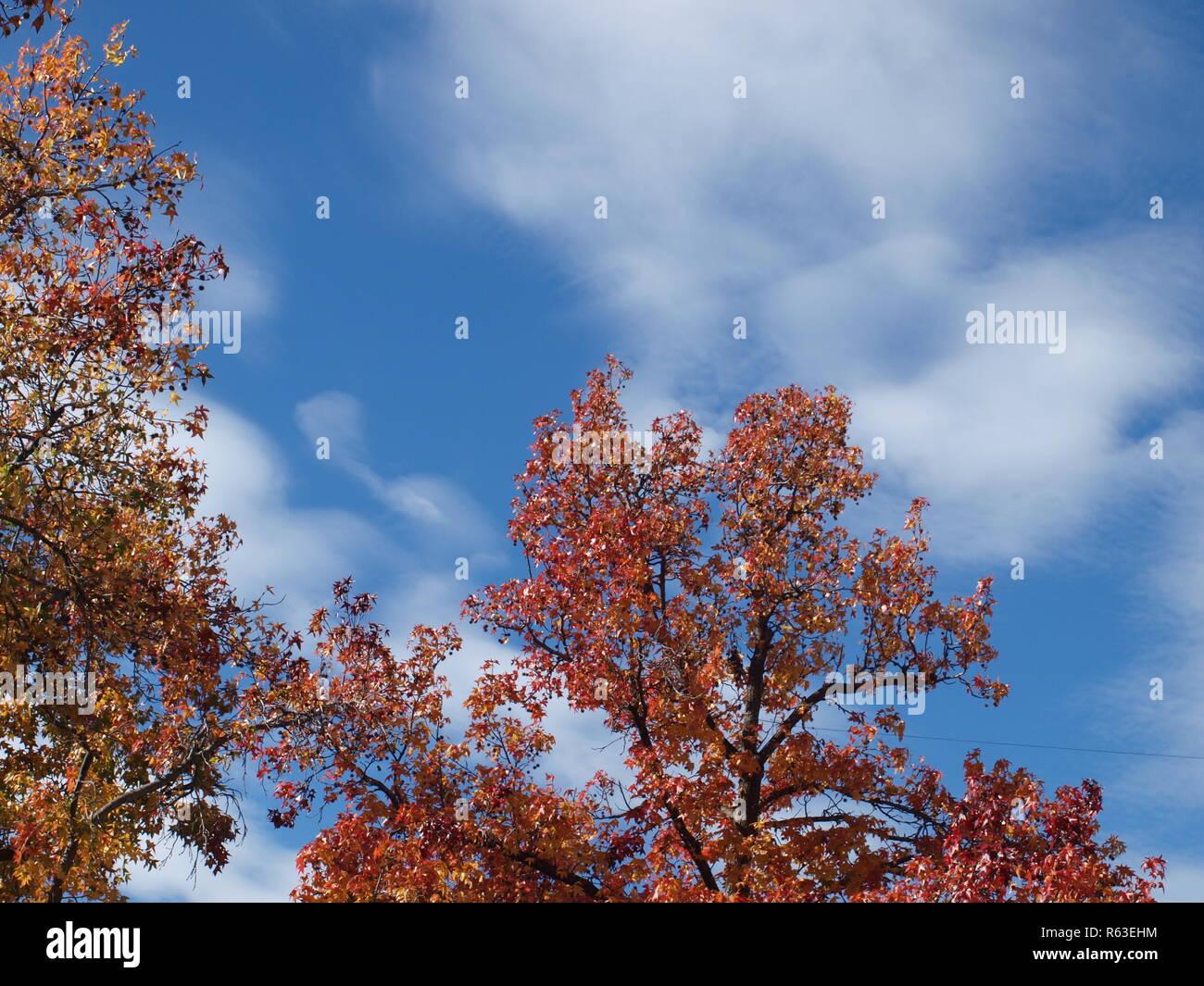 Square wired for lights hi-res stock photography and images - Alamy