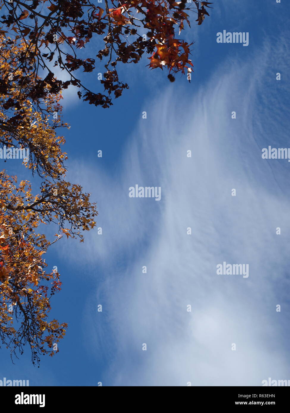 Fall Colors on a Town Square Stock Photo - Alamy