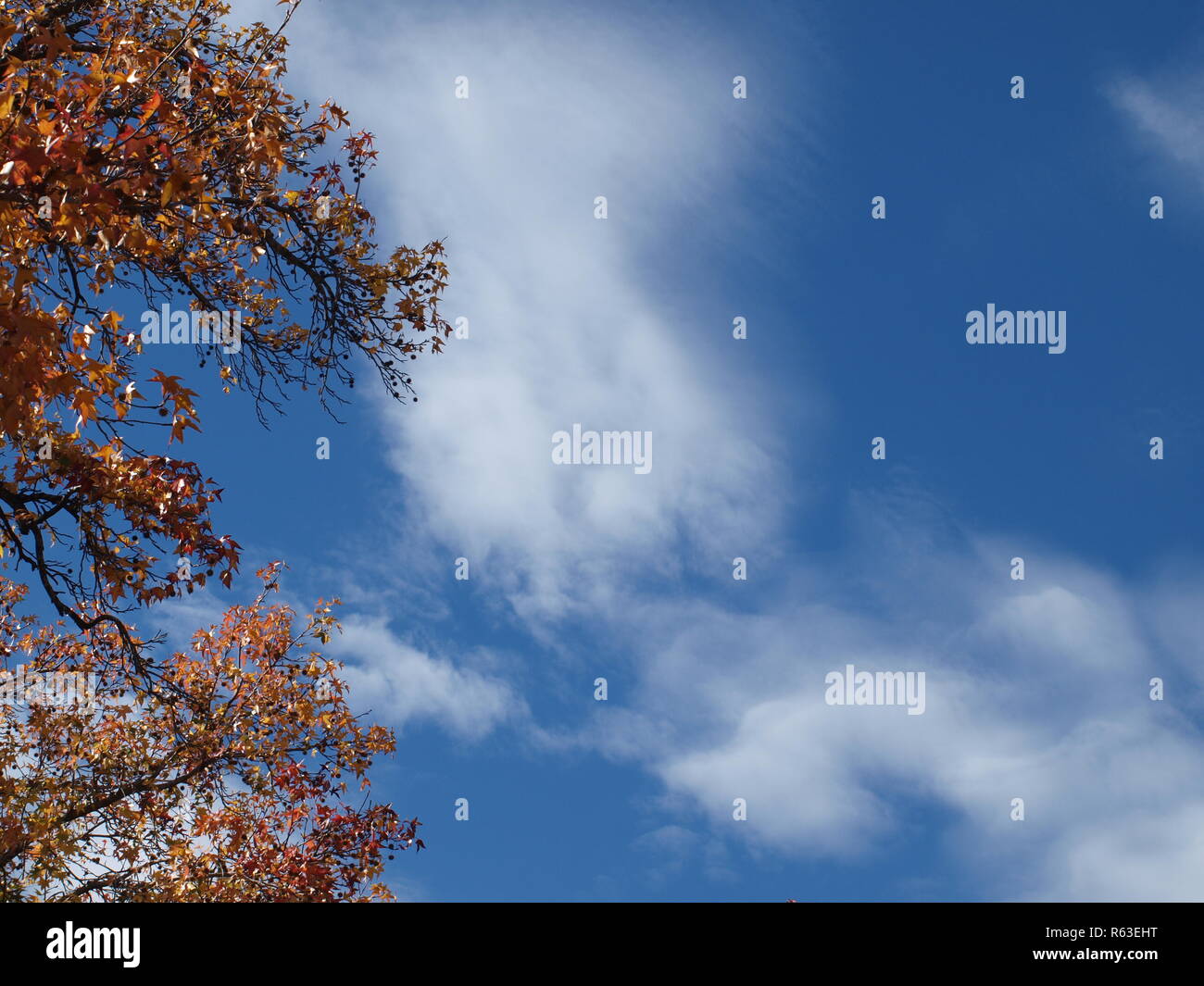 Colorful thin brick hi-res stock photography and images - Alamy