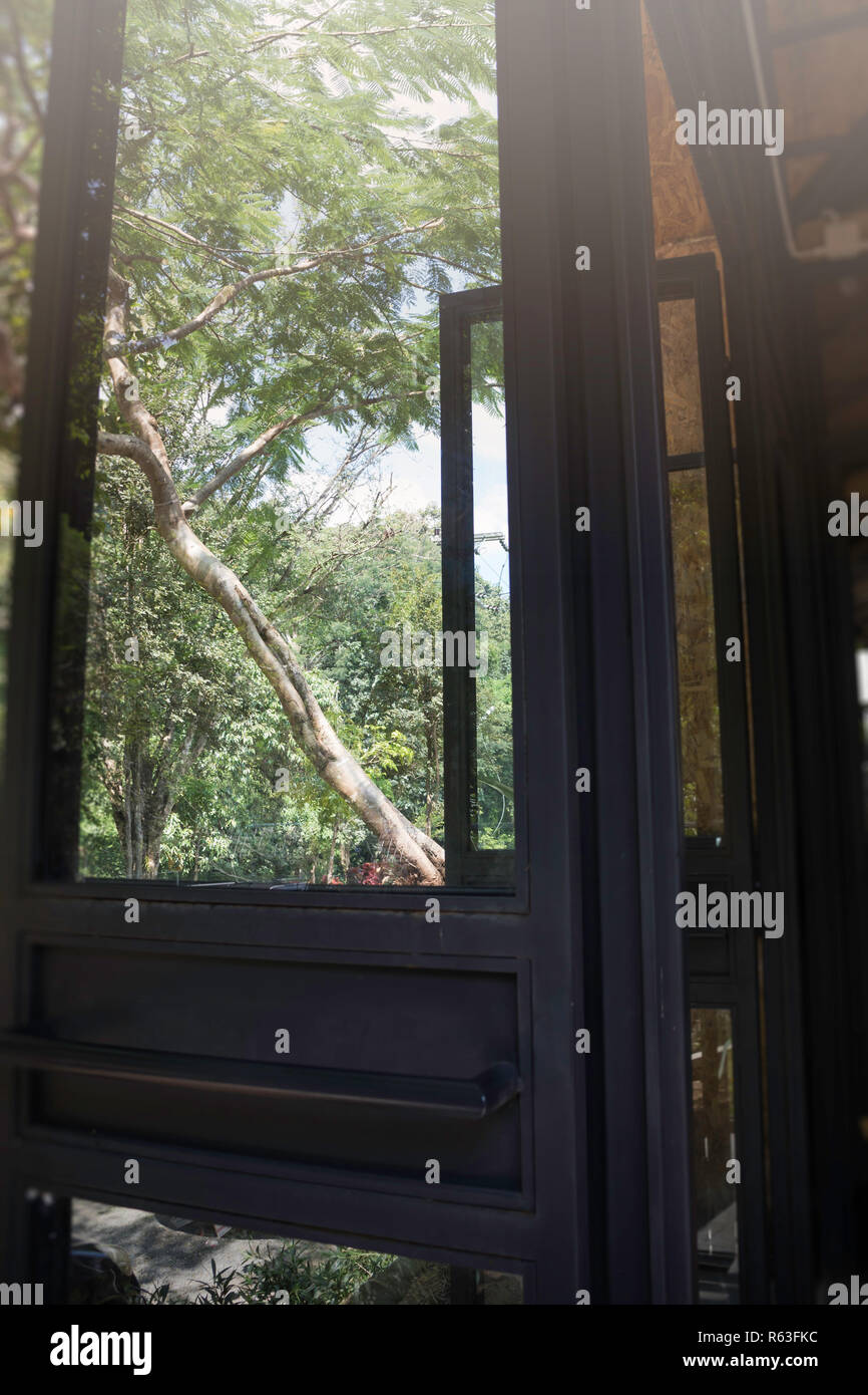 Modern loft window with natural outside view Stock Photo - Alamy