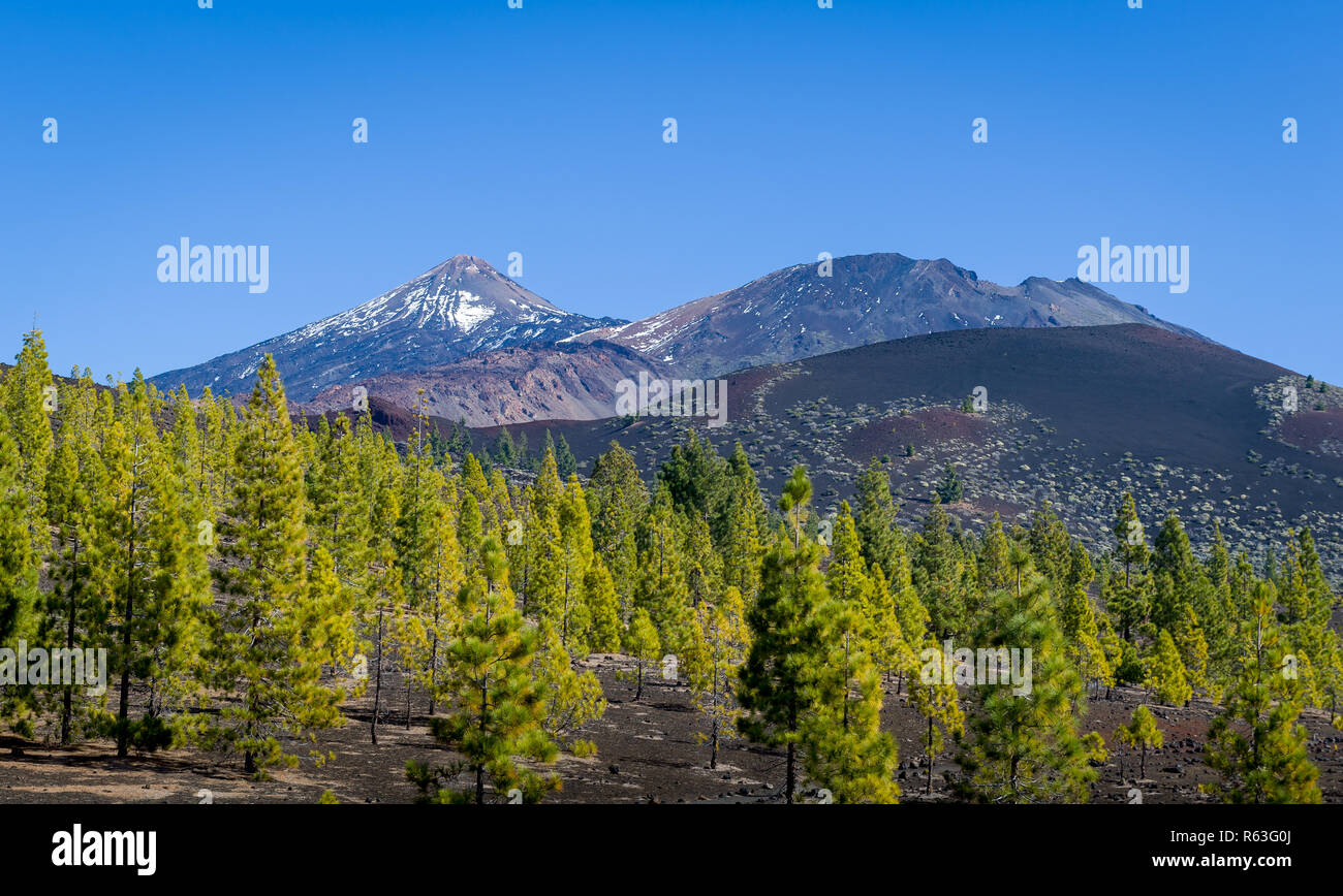 Pico teide view hi-res stock photography and images - Alamy