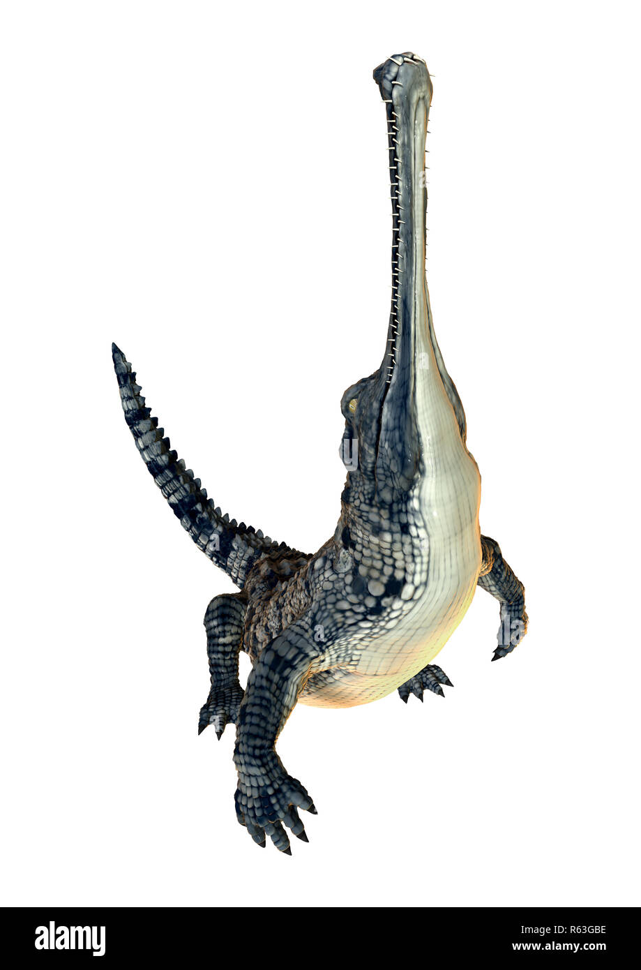 Gharial or real gavial Cut Out Stock Images & Pictures - Alamy