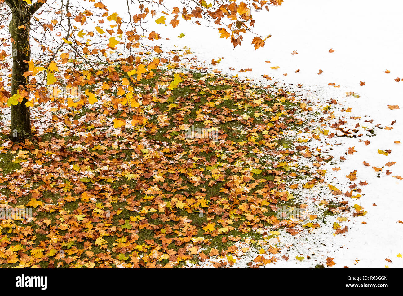 Onset cold hi-res stock photography and images - Alamy