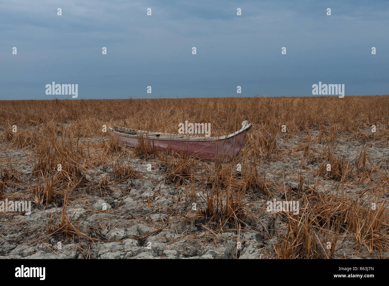 Marshes of mesopotamia hi-res stock photography and images - Alamy