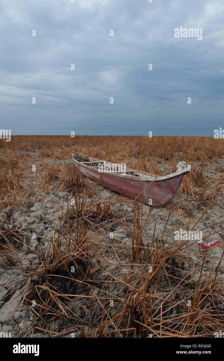 Marshes of mesopotamia hi-res stock photography and images - Alamy