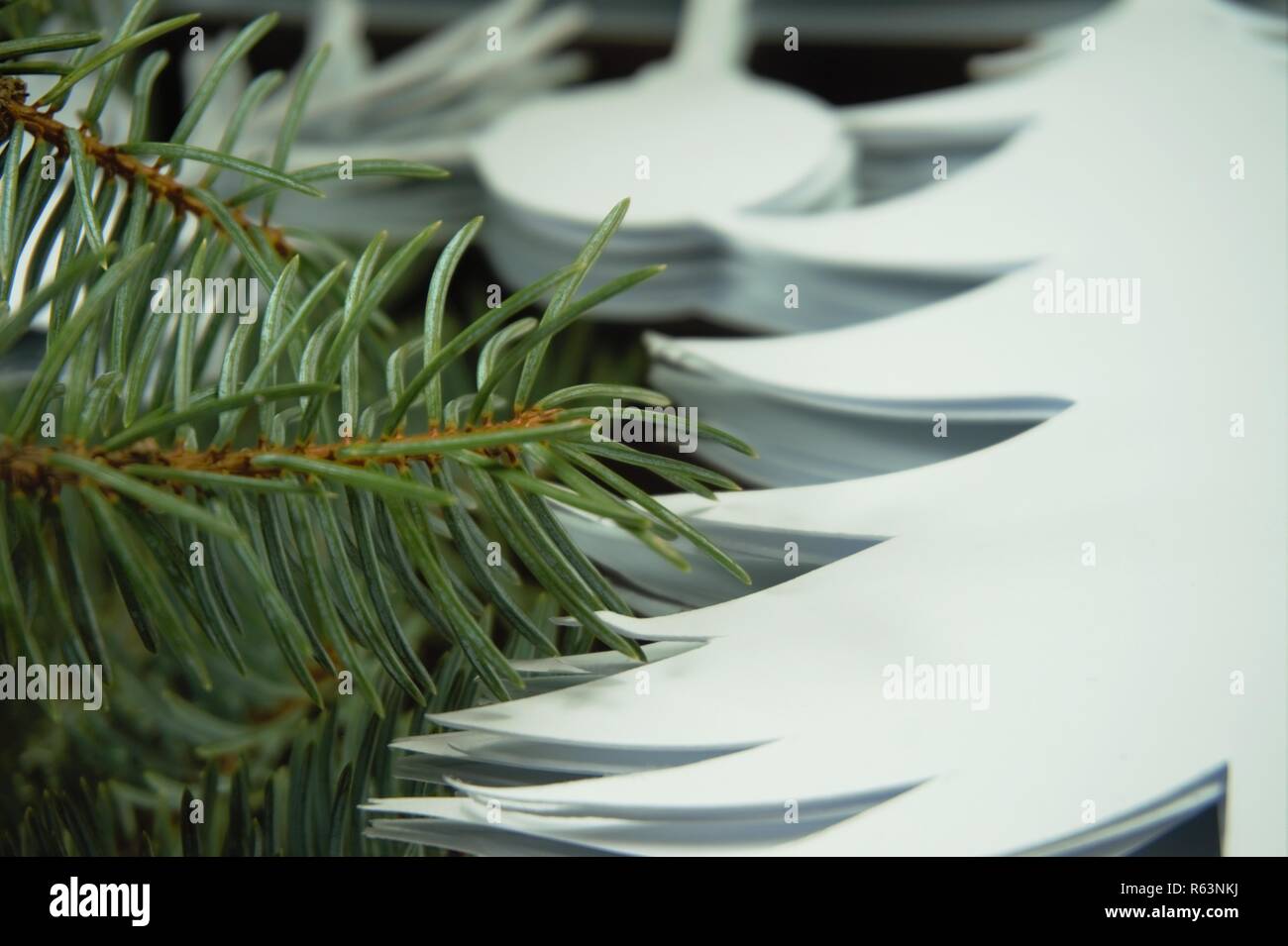 Preparing eco friendly Christmas decorations concept. Close-up of the ...